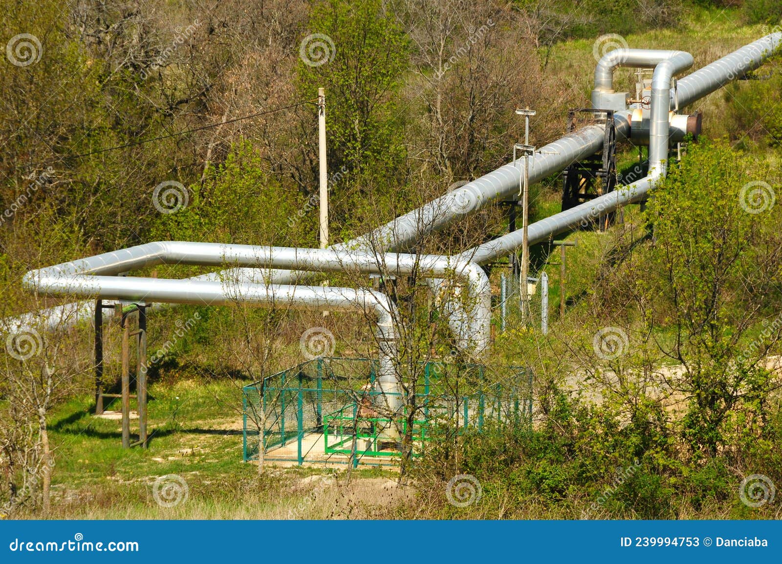 Pipeline, Pipes in the Middle of a Forest Stock Image - Image of risk ...