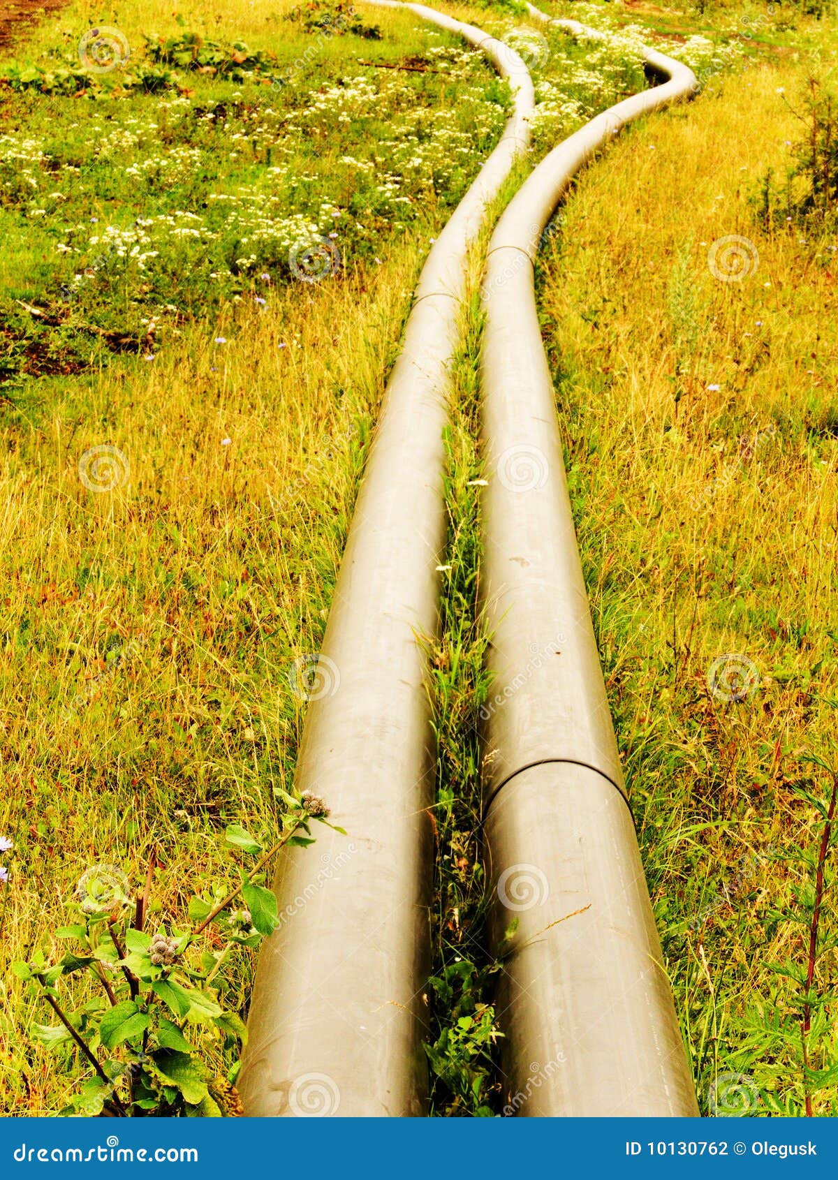 The pipeline for water stock photo. Image of pipeline - 10130762