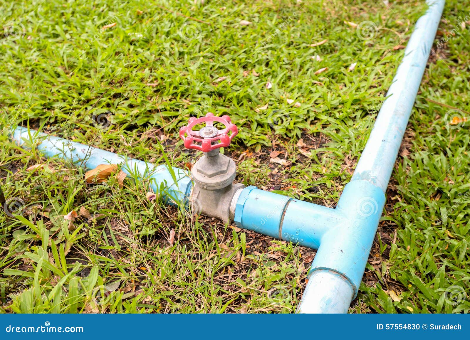 Pipeline water valve stock photo. Image of park, spiral - 57554830