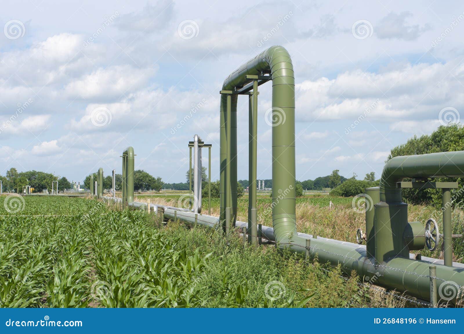 Pipelines through a field stock photo. Image of business - 26848196