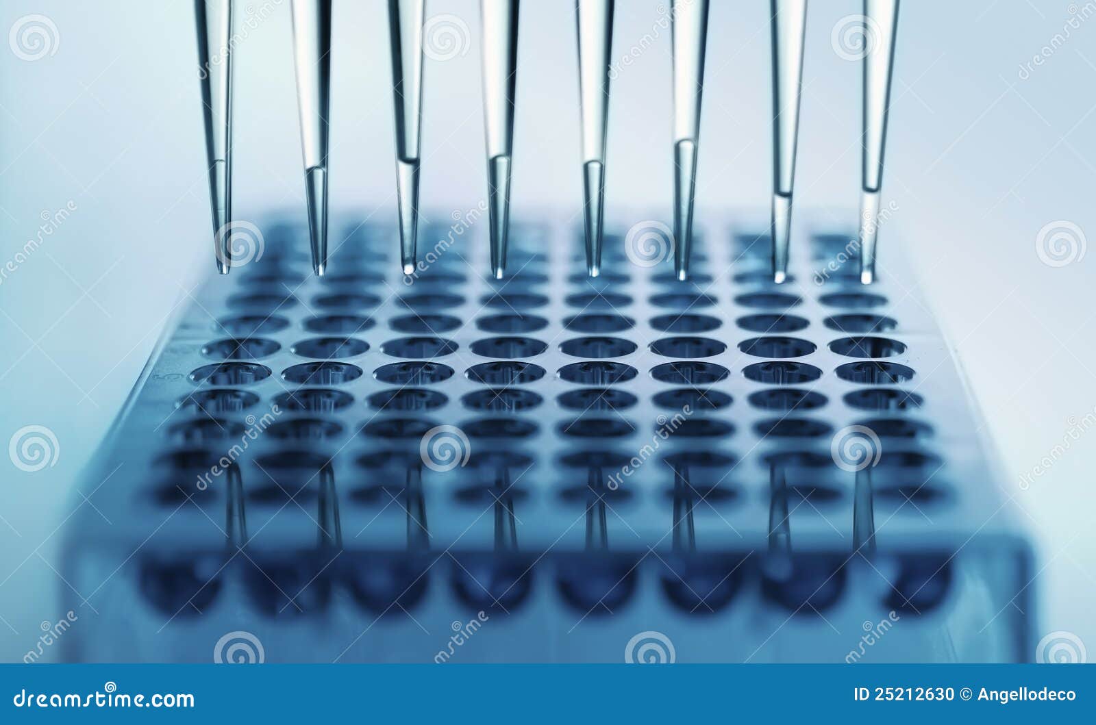 Pipetta multicanale fotografia stock. Immagine di scientifico - 25212630