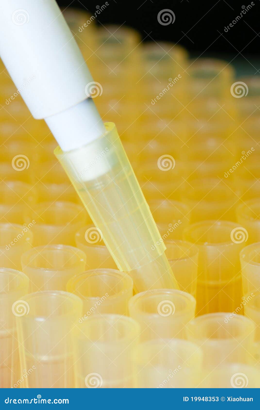 Pipette stock image. Image of medical, chemical, scientist - 19948353