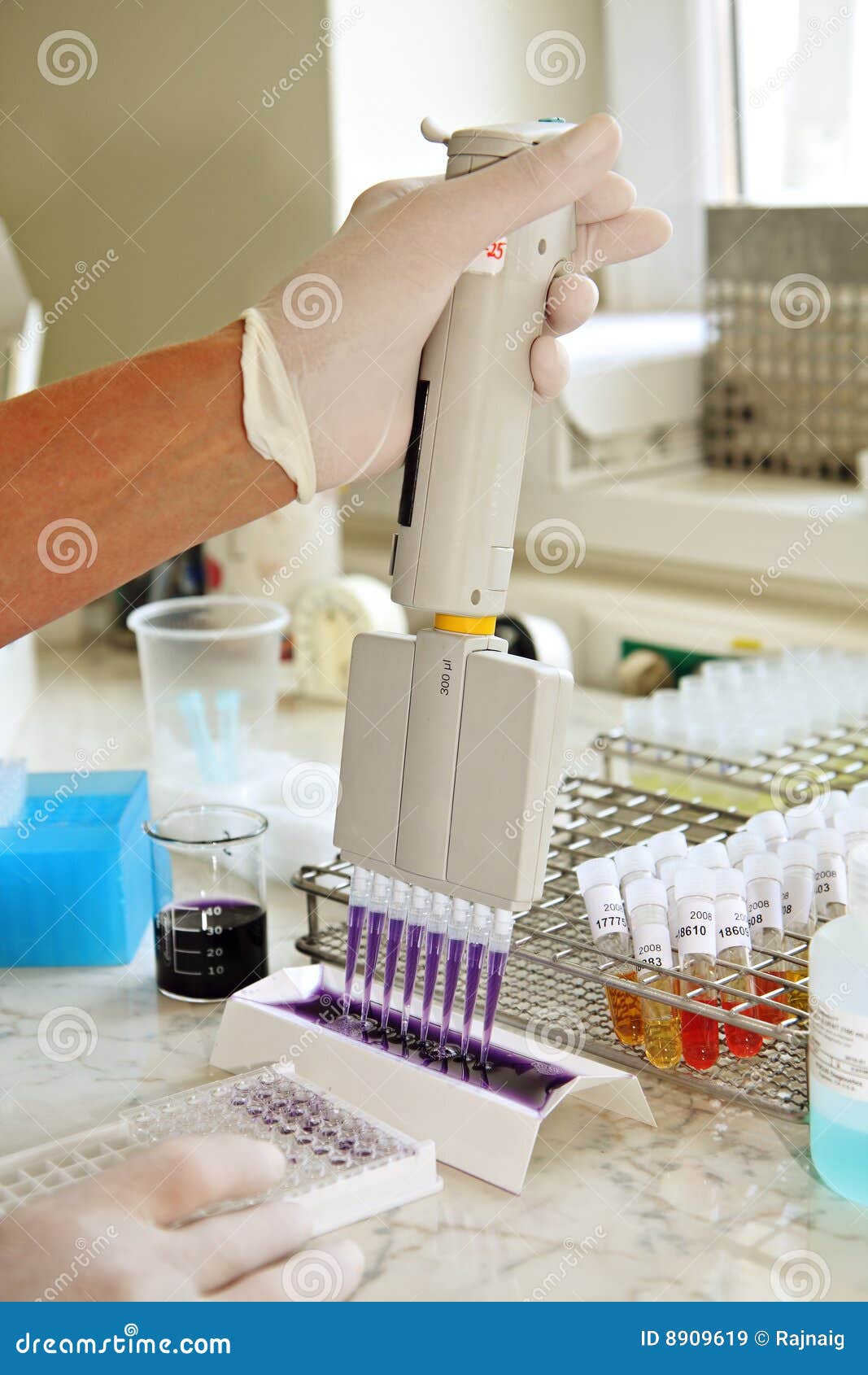 Pipette stock image. Image of science, pipette, microbiology - 8909619