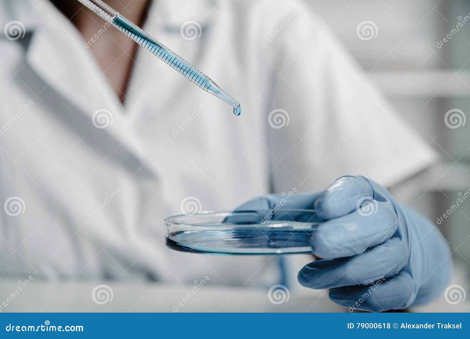 Pipette With Drop Of Color Liquid And Petri Dishes .Scientist Examining ...