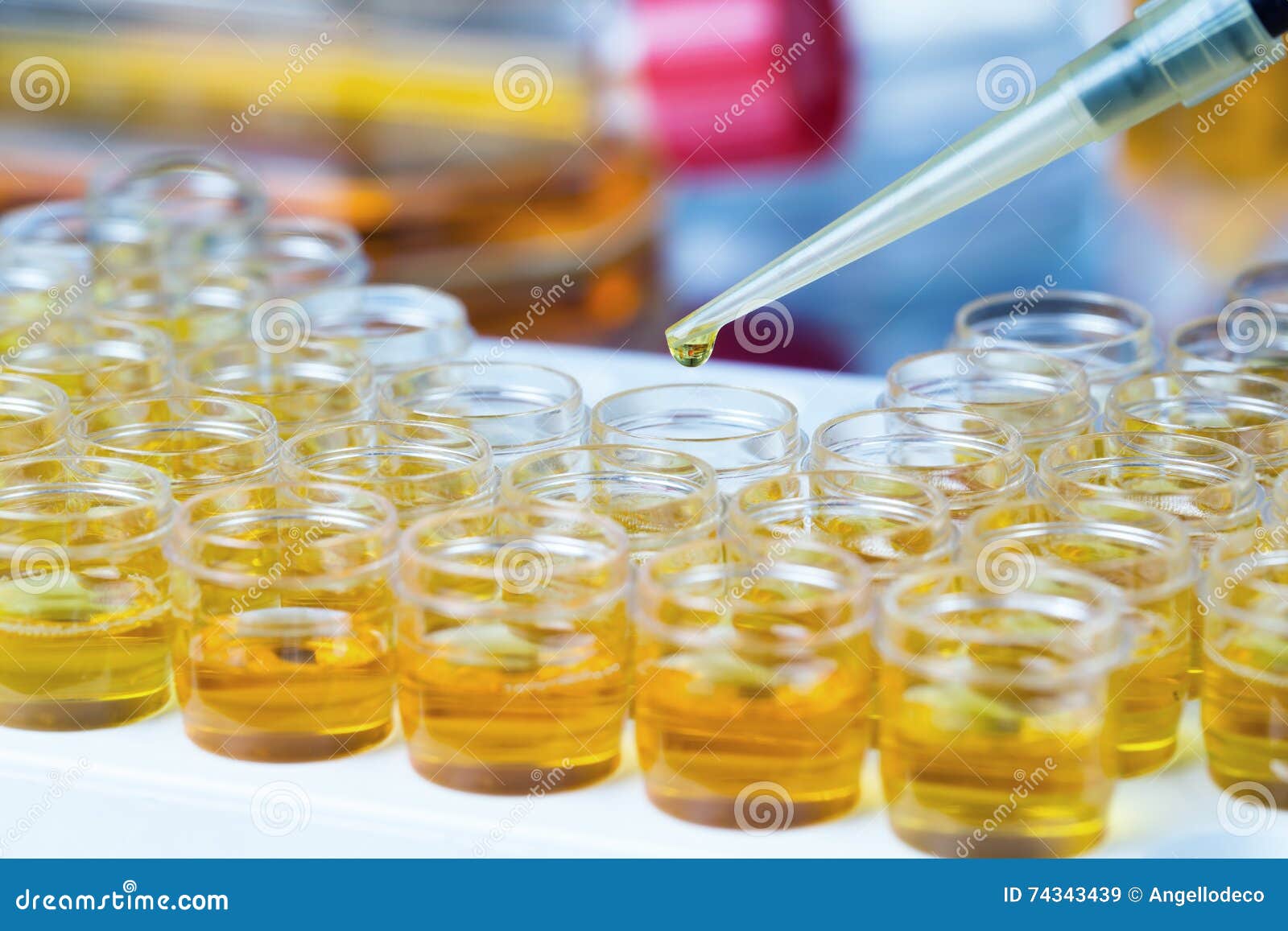 Pipette with Drop of Reagent into Tubes during Examination in a Stock ...