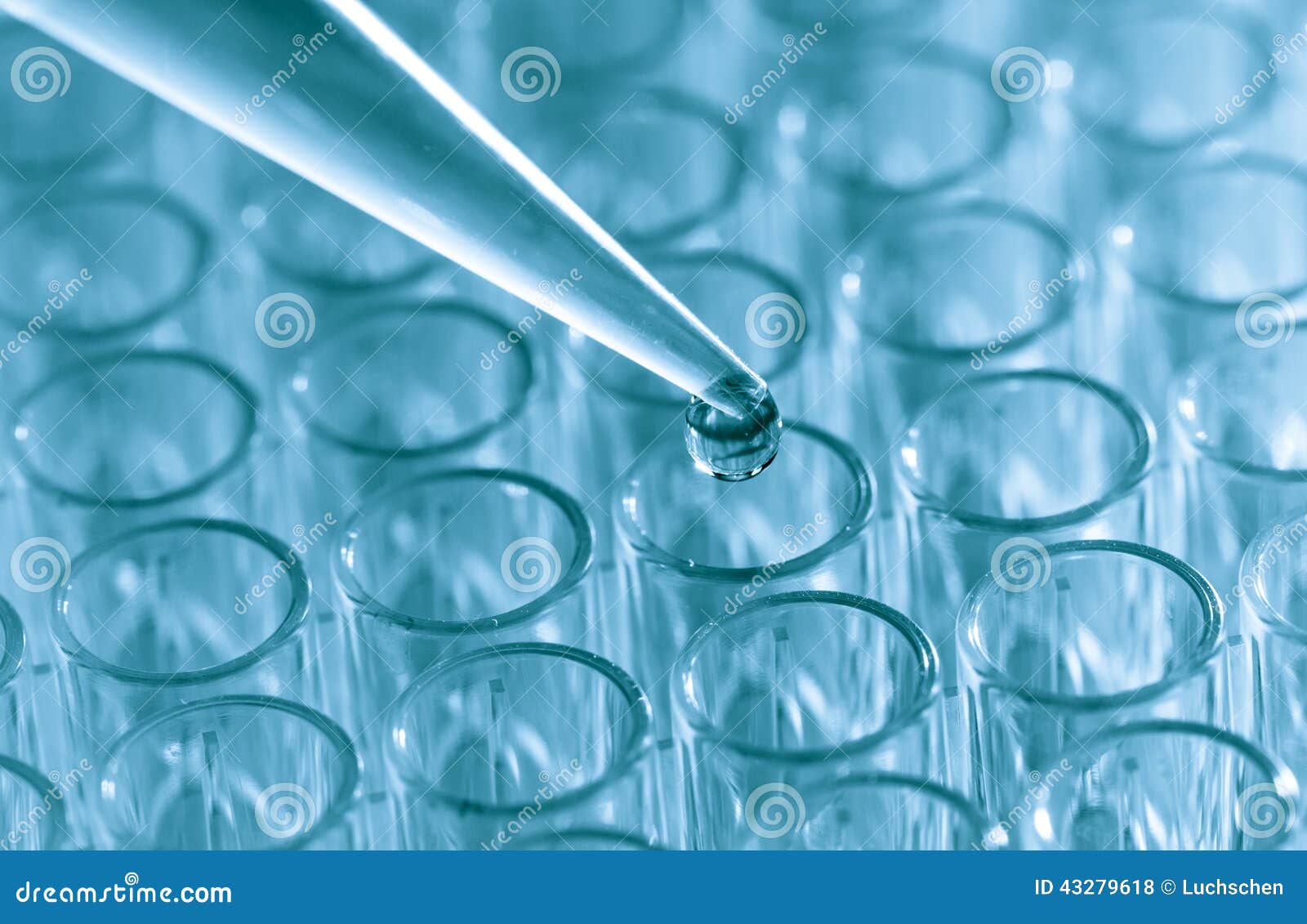 Pipette load samples stock photo. Image of biology, test - 43279618