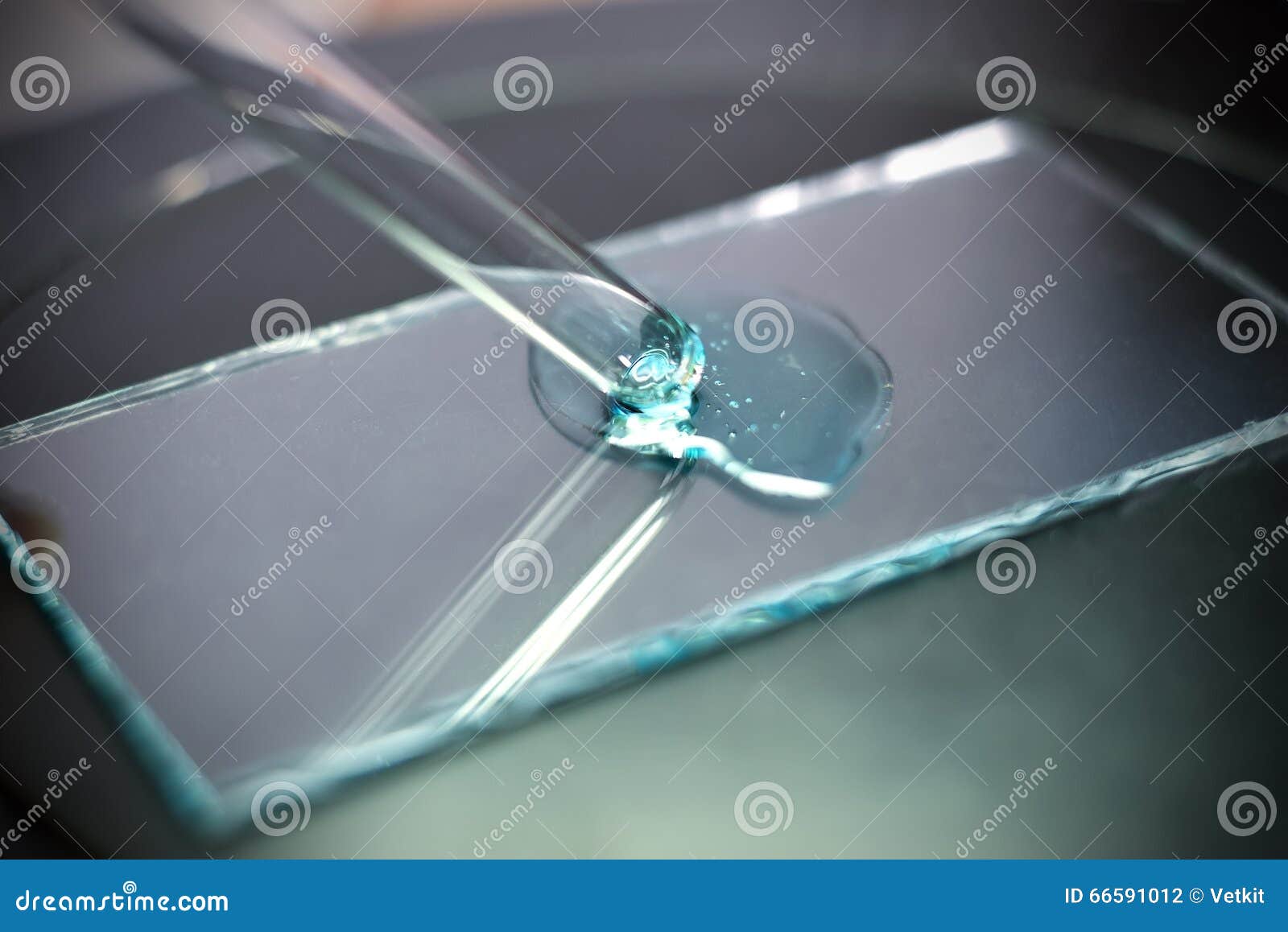 Pipette Takes a Sample of Blue Liquid Stock Photo - Image of ...