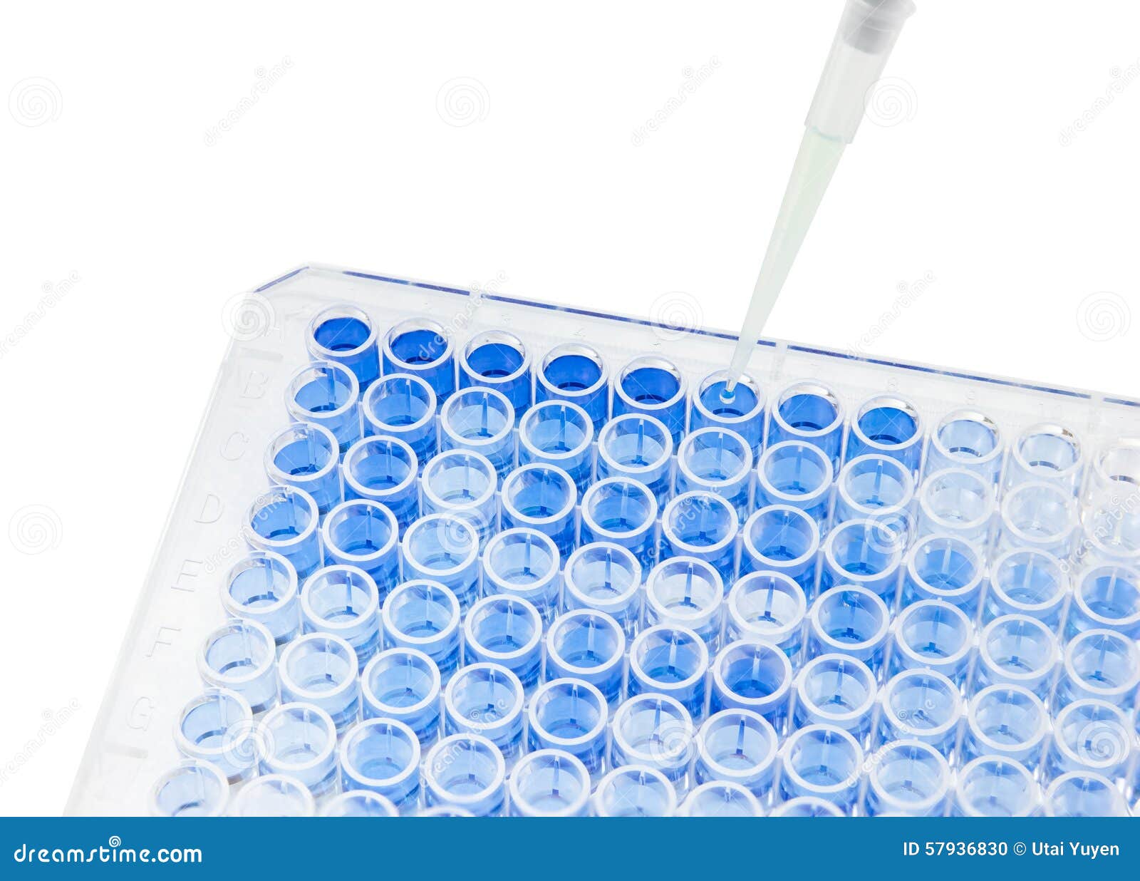 Pipette Test Sample on Plate Stock Photo - Image of pharmaceutical ...