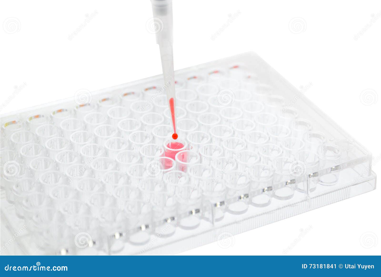 Test Lab Elisa Plate Analysis Stock Photography | CartoonDealer.com ...