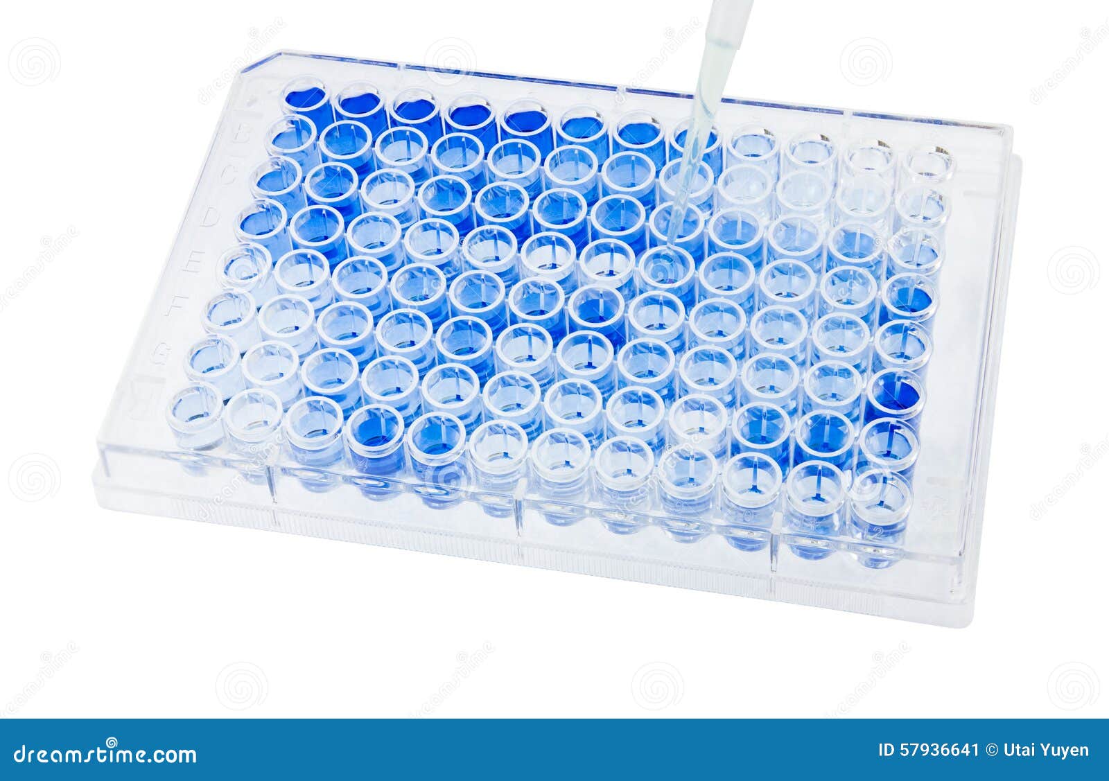 Pipette test sample stock image. Image of medical, laboratory - 57936641