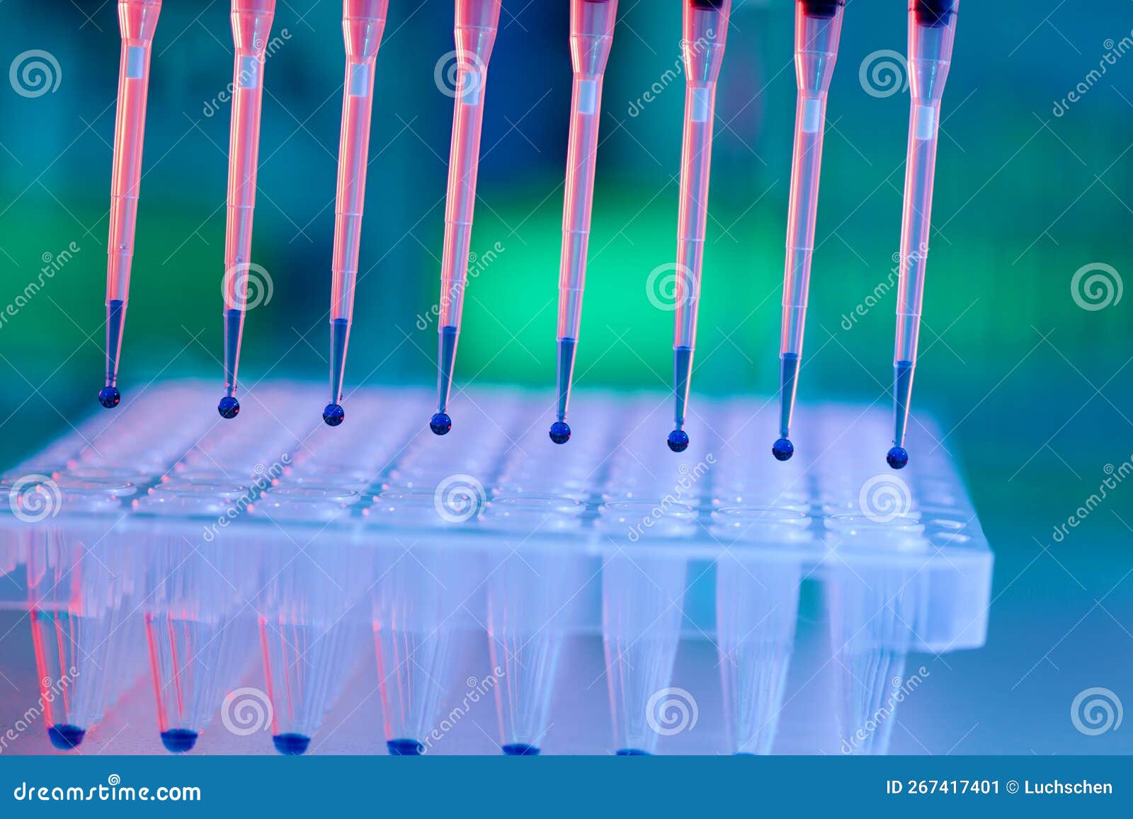 Pipette and Test Tubes in a Microbiological Laboratory Stock Image ...