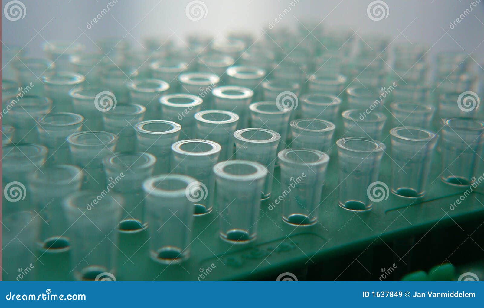 The Pipette Tips In The Laboratory. The Researcher Using This Equipment ...