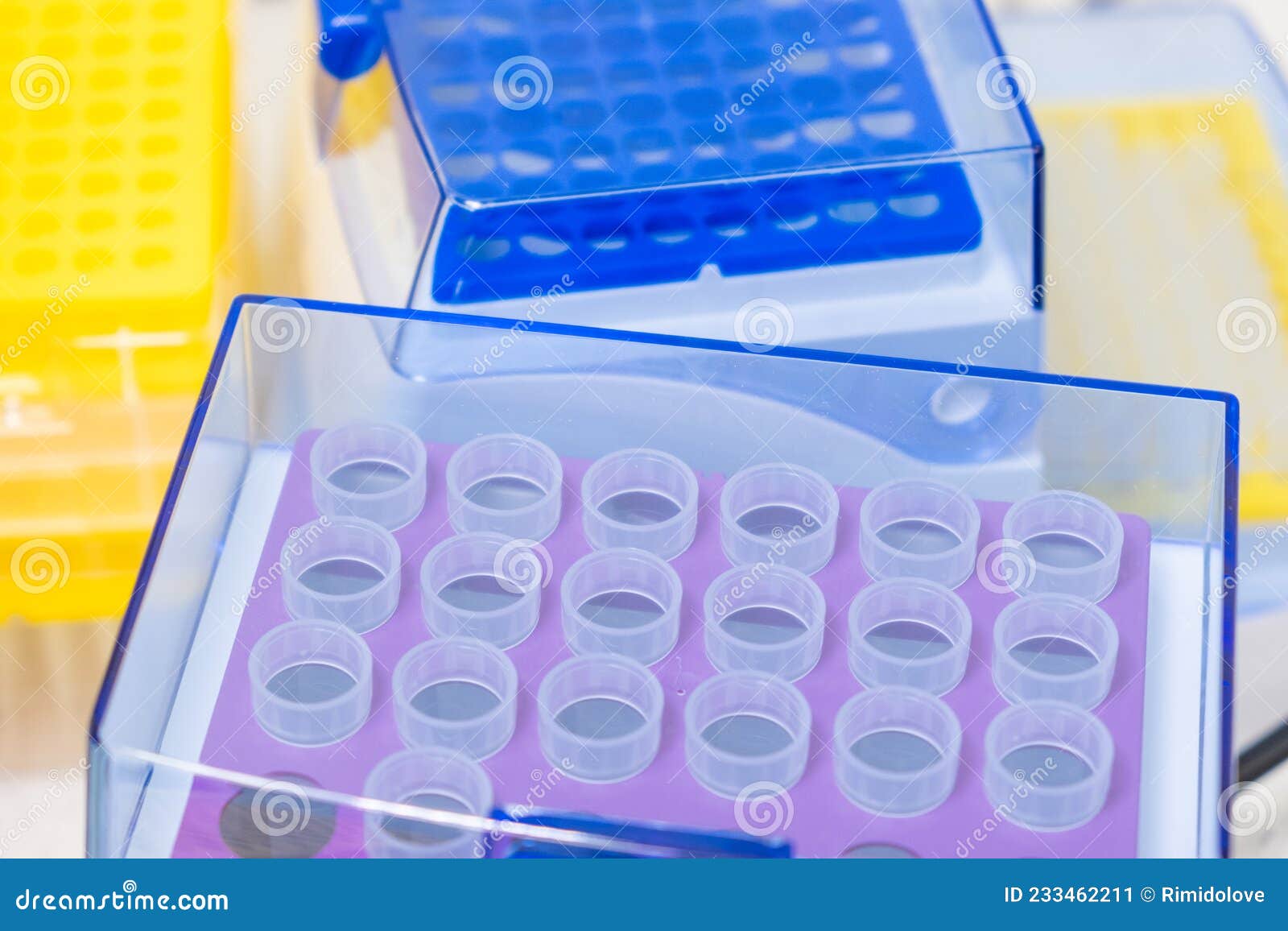 Pipette Tips for Automatic Pipettes in the Tip Box for Chemical and ...