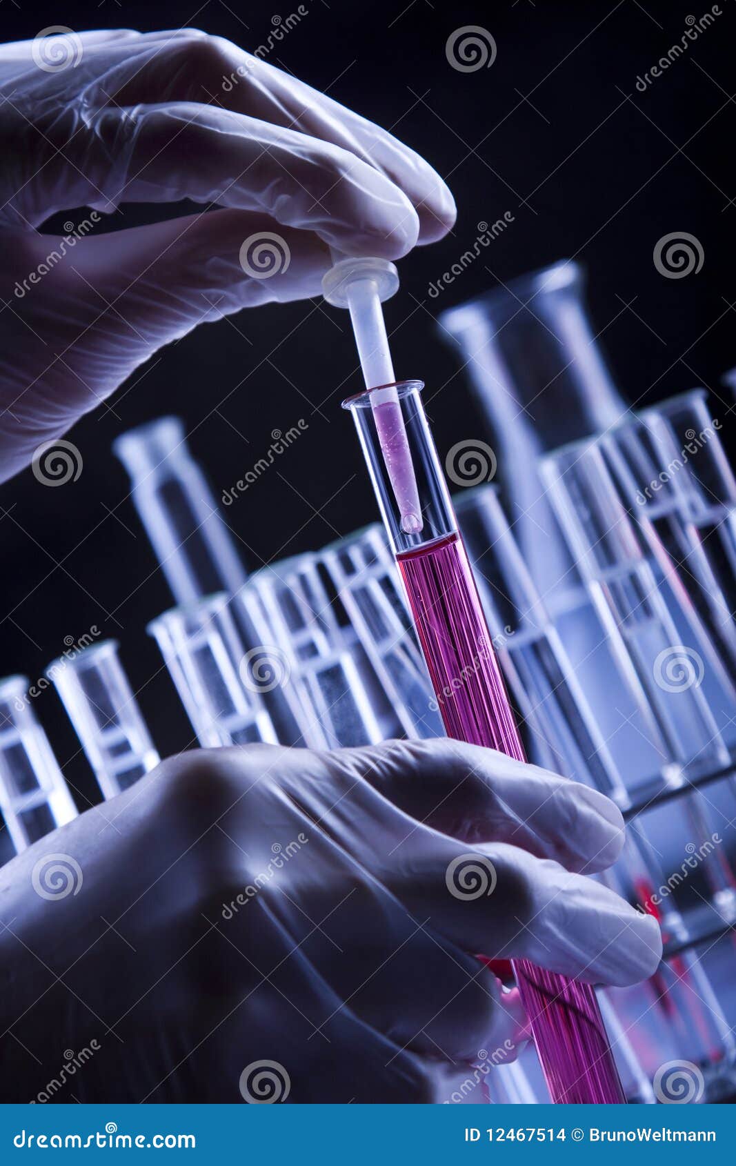 Pipette and Tube stock photo. Image of laboratory, examing - 12467514