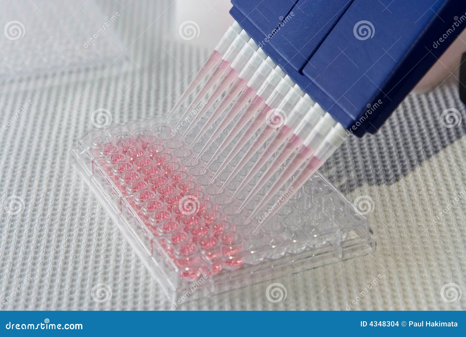 Pipetting experiment stock photo. Image of experiment - 4348304