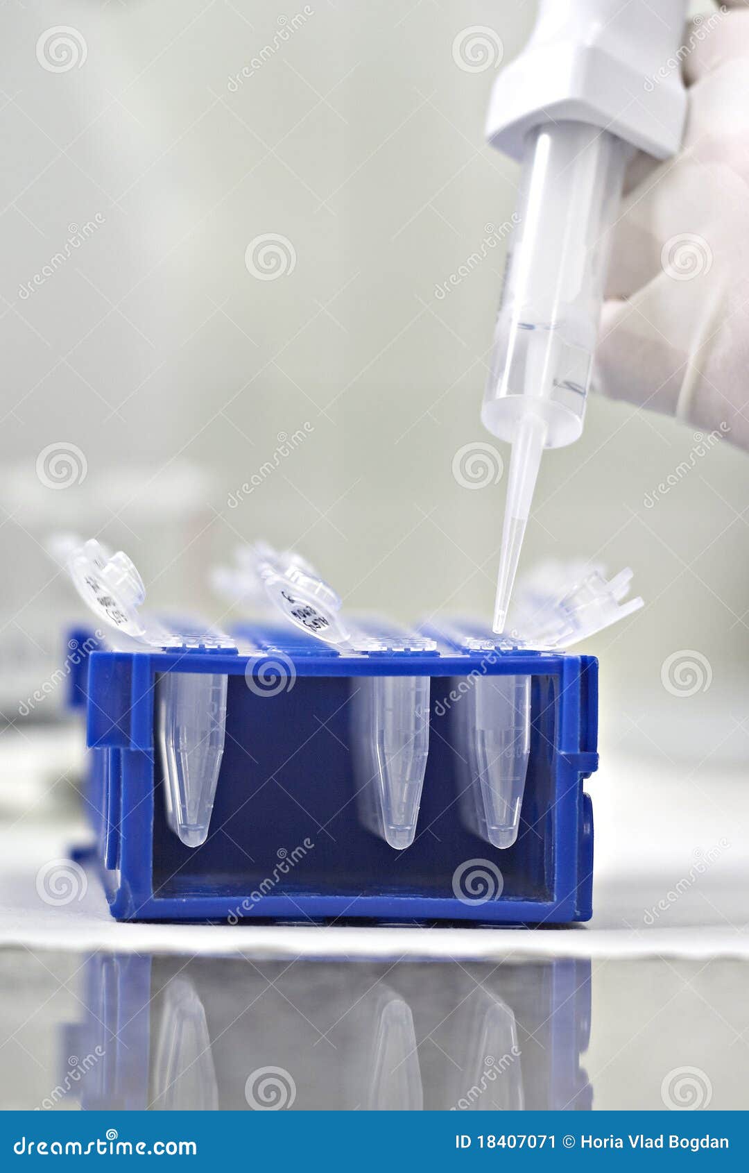 Pipetting in a Set of Lab Vials Stock Image - Image of environment ...