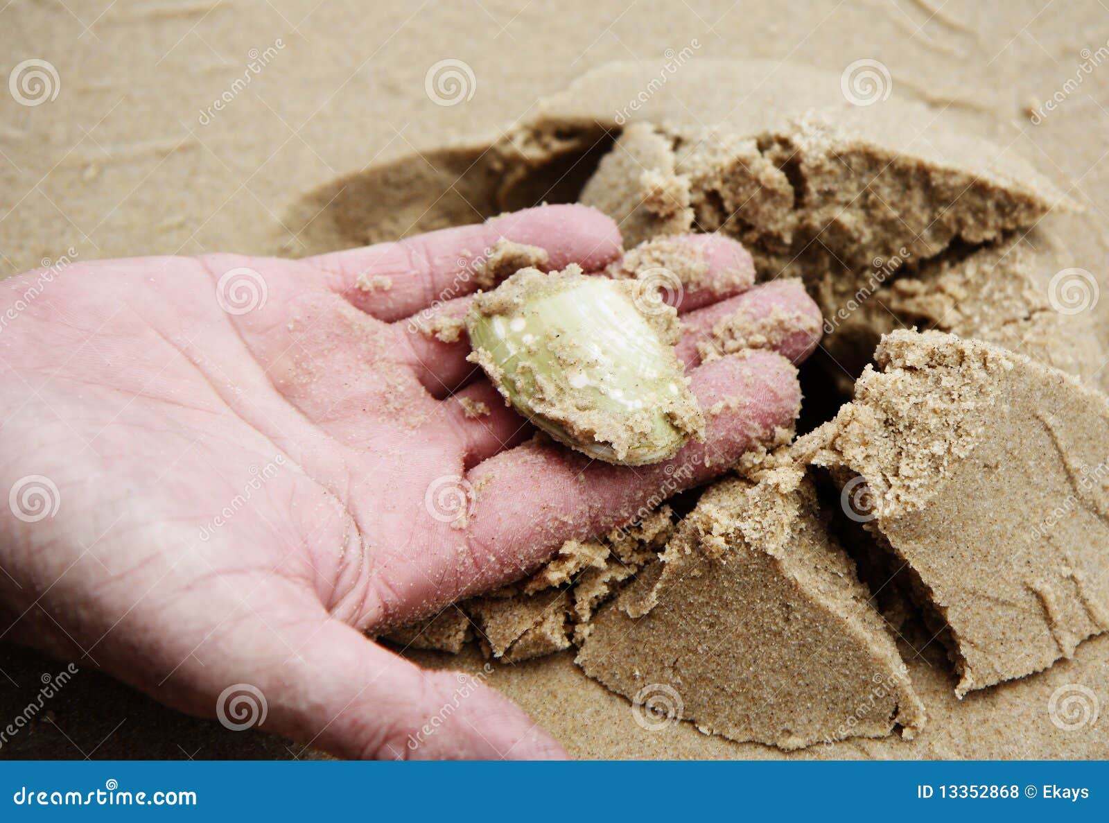 Pippi Shell Photos - Free & Royalty-Free Stock Photos from Dreamstime