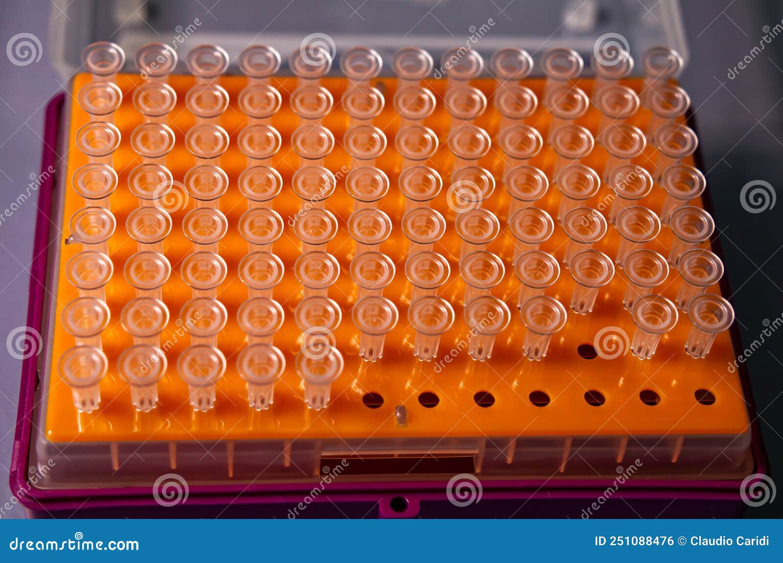 Pips for Micropipettes Isolated on Orange Display Stock Photo - Image ...
