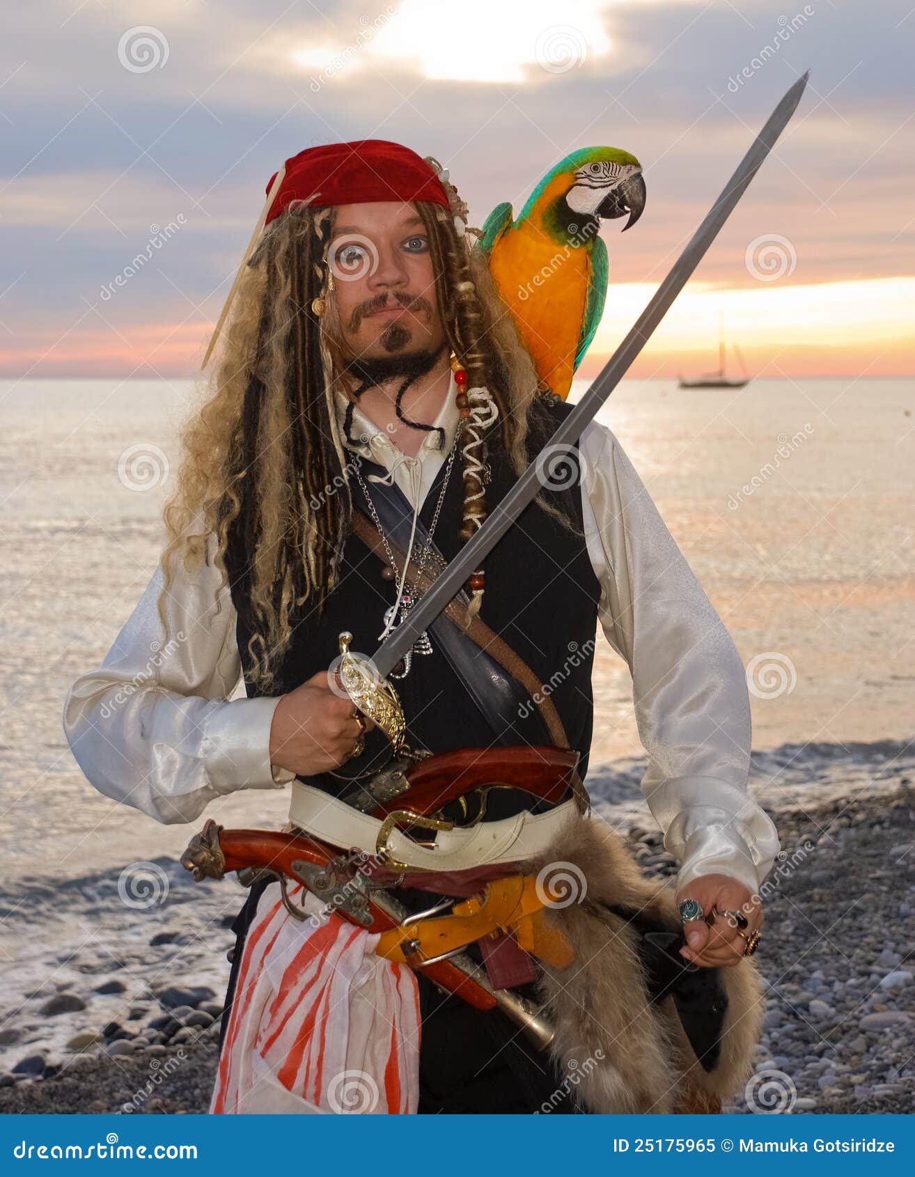 Piraat stock afbeelding. Image of pistool, veer, dieren - 25175965