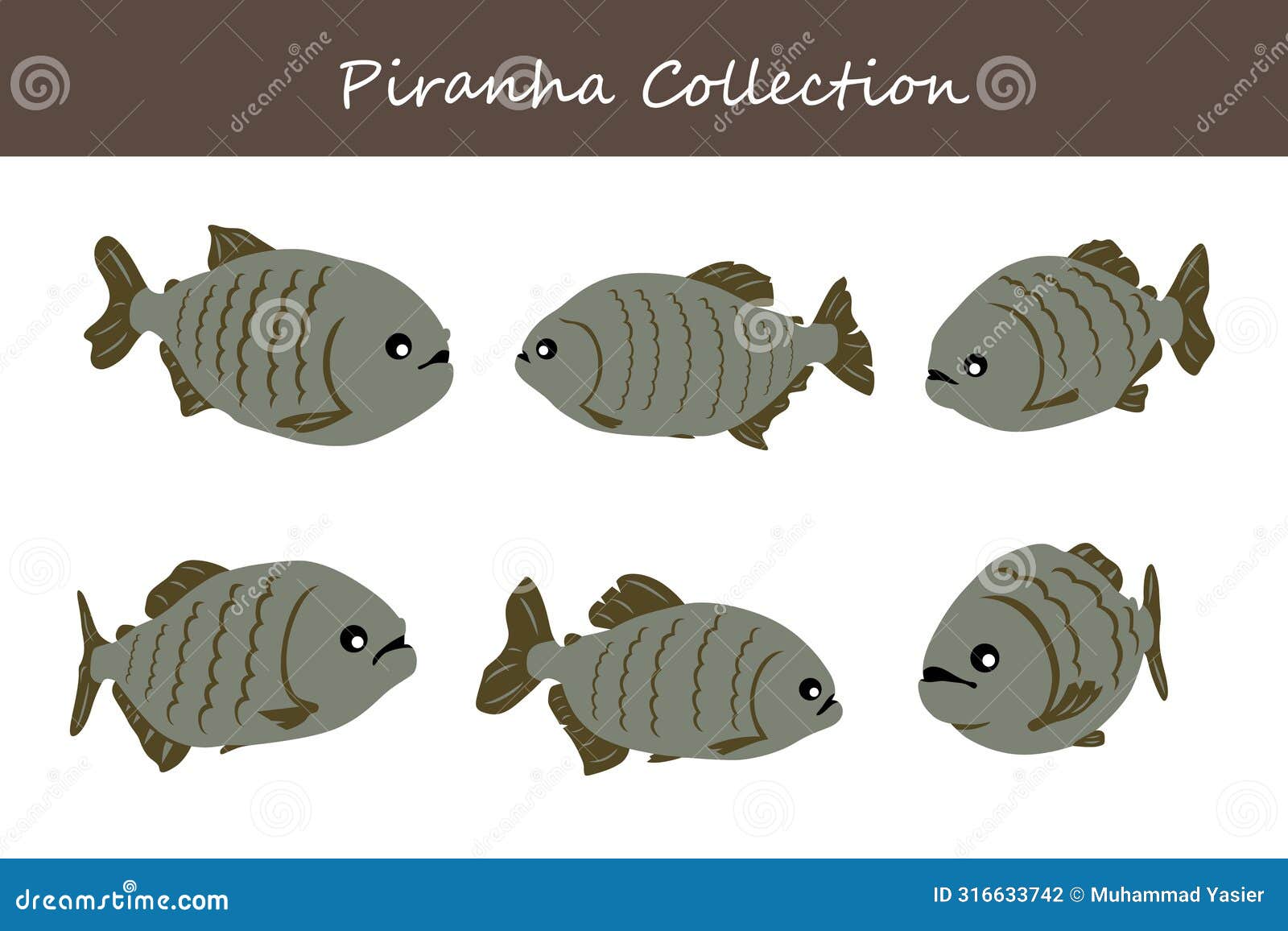 Piranha Collection. Piranha in Different Poses. Vector Illustration ...