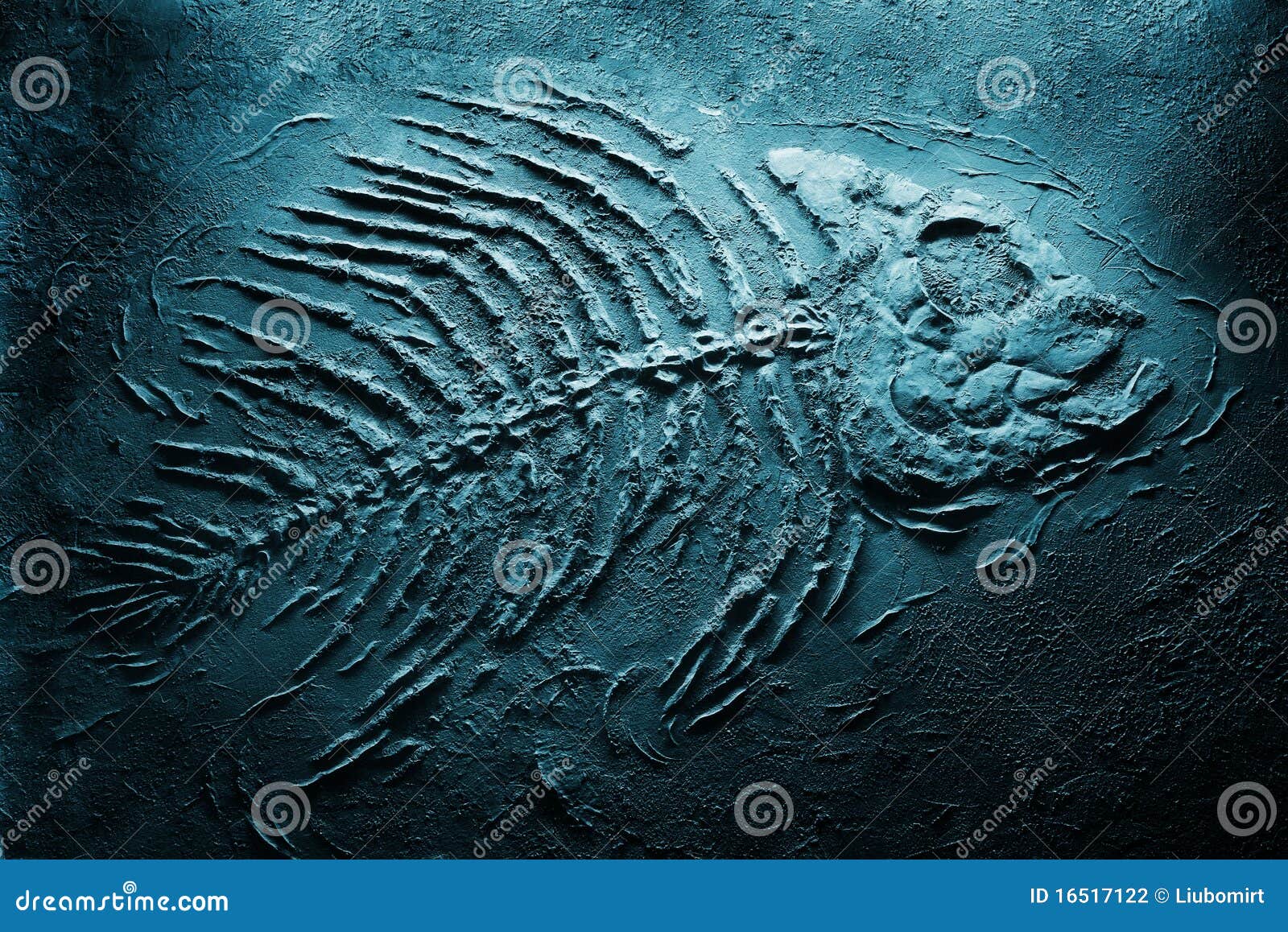 Piranha Skeleton Underwater Stock Photo - Image of ancient, fish: 16517122