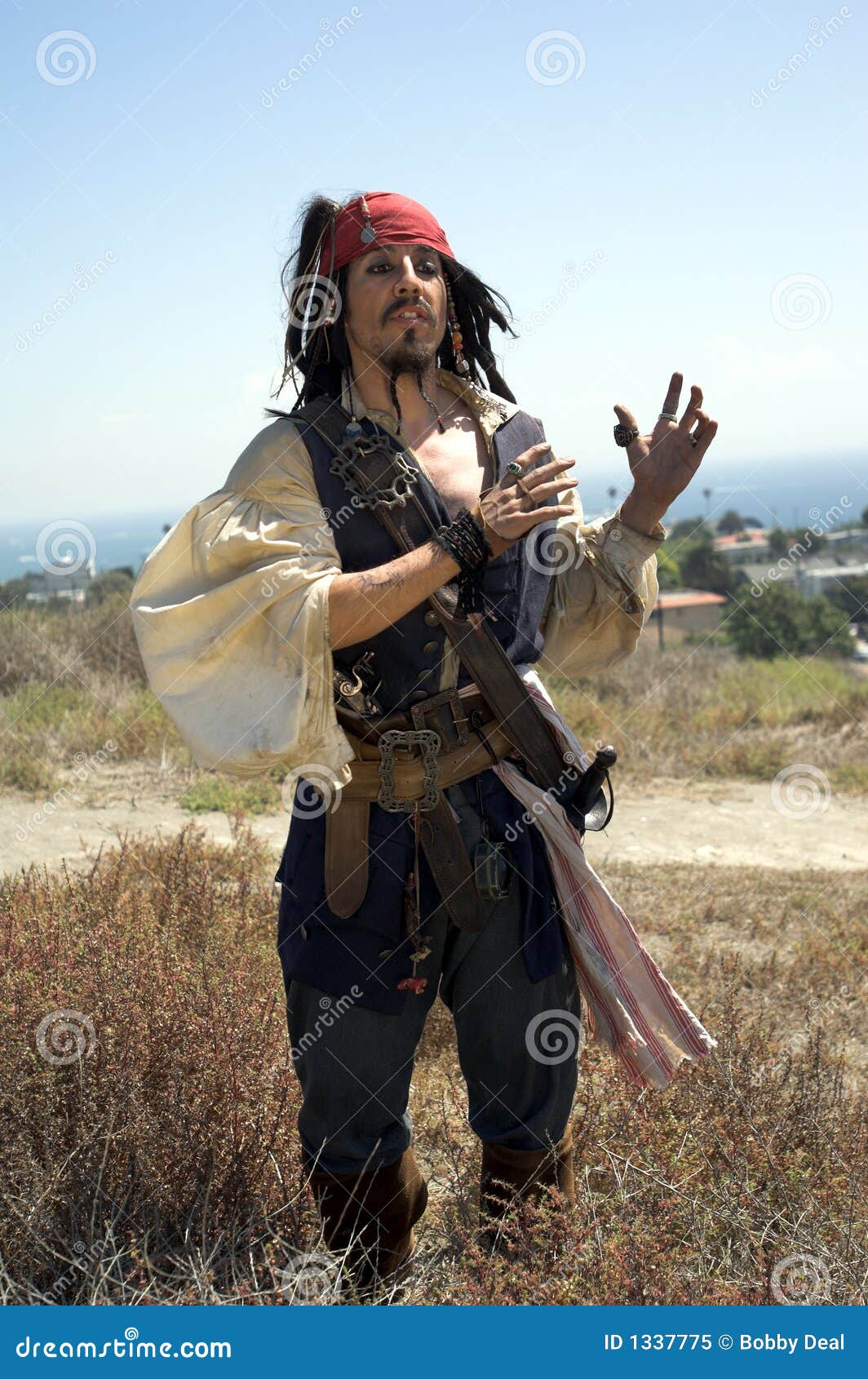 Pirate Captain stock image. Image of sparrow, navigate - 1337775