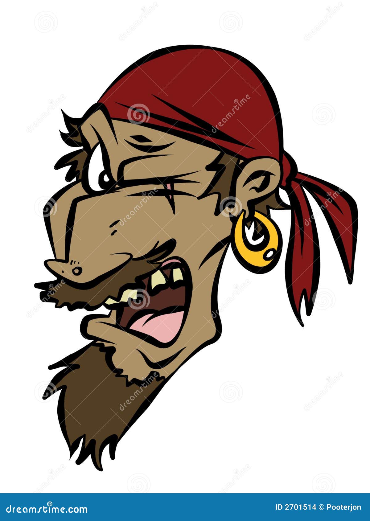 Pirate Head stock illustration. Illustration of pirate - 2701514