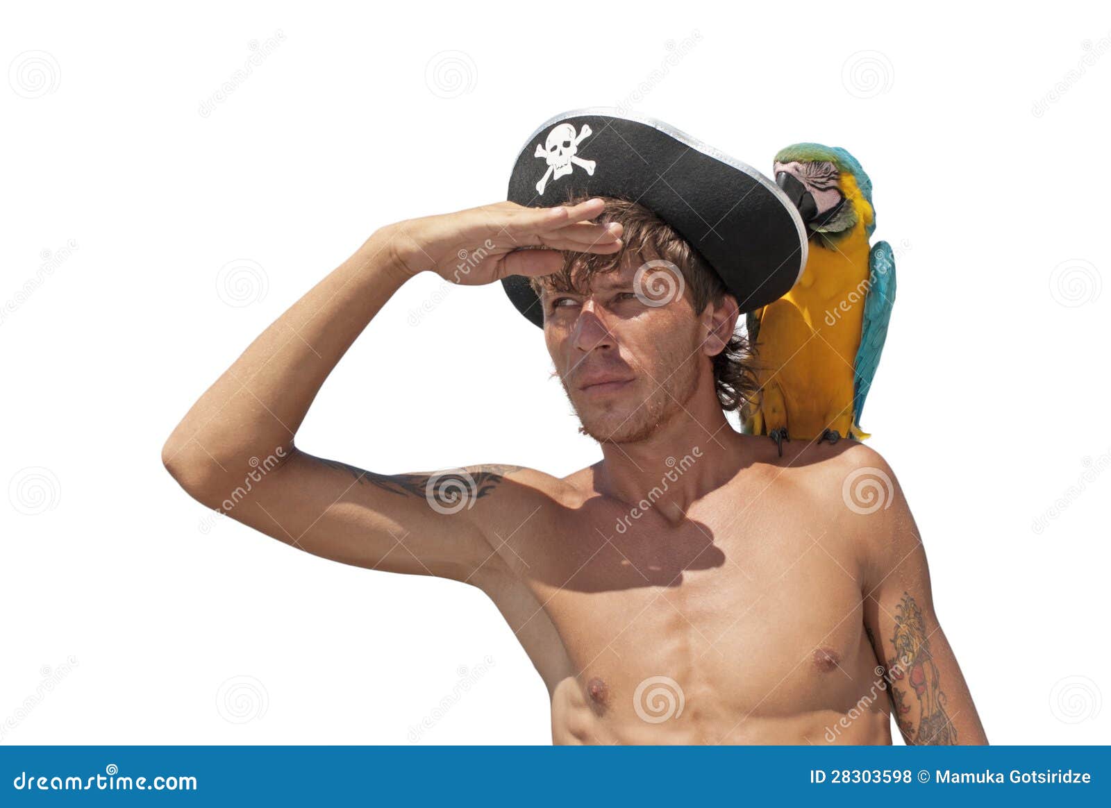 Pirate with a parrot stock photo. Image of history, caucasian - 28303598