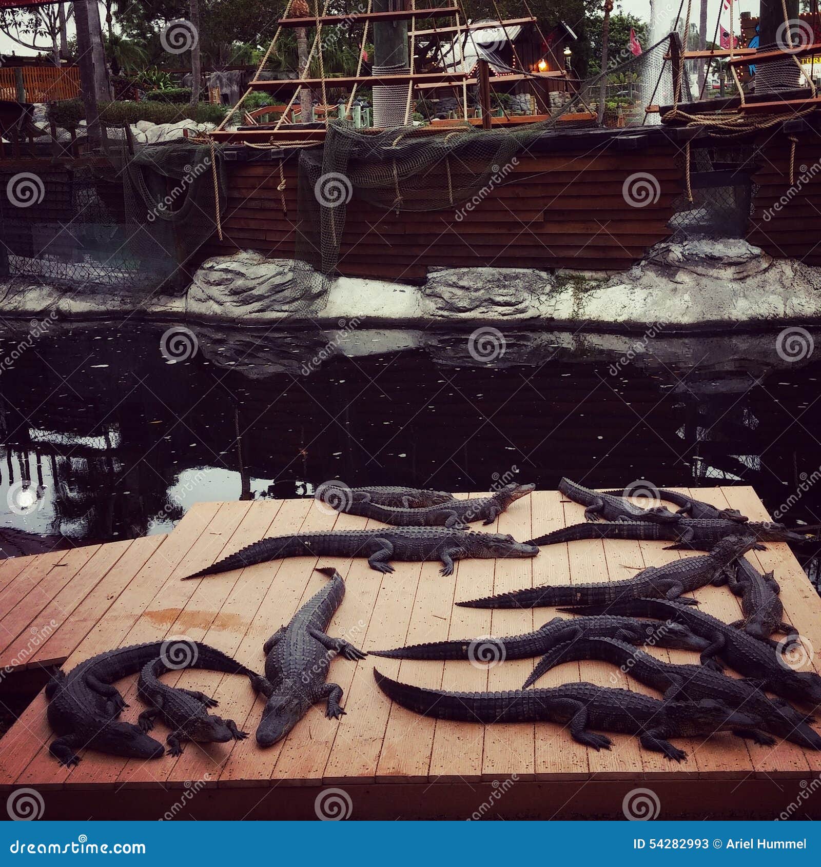 Pirate ship and alligators stock image. Image of water - 54282993