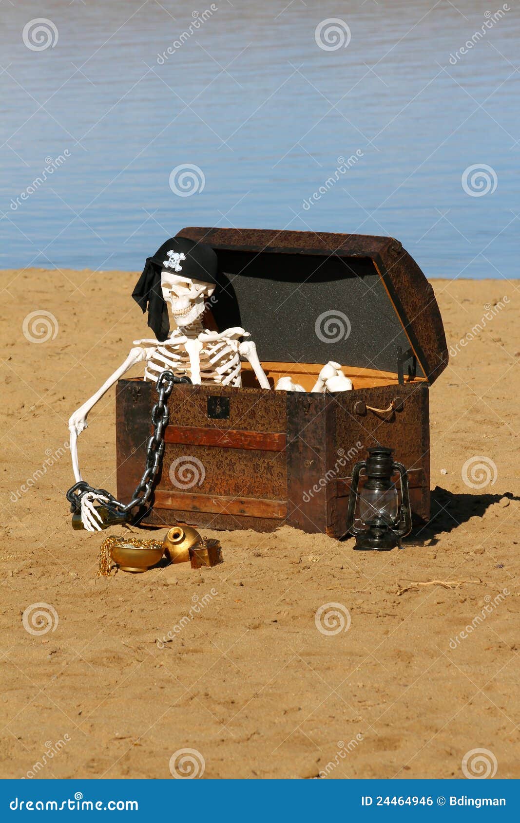Pirate Skeleton stock photo. Image of shoreline, pirate - 24464946