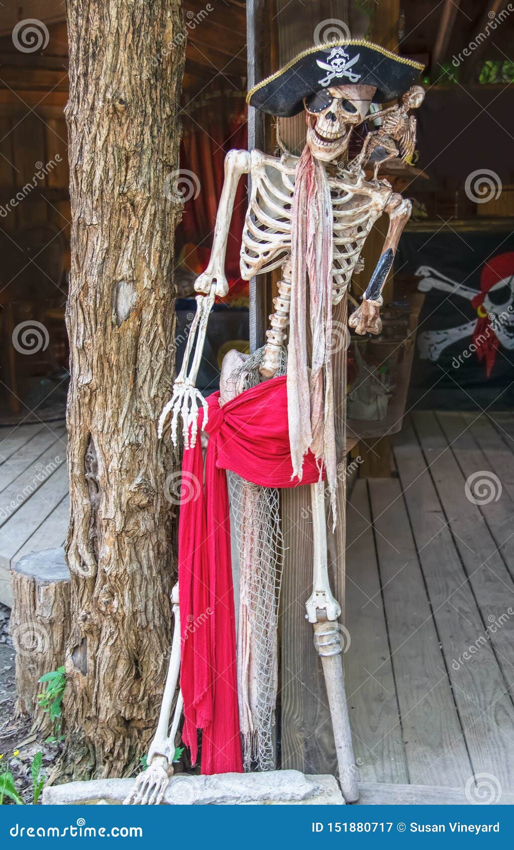 A Pirate Skeleton Hangs Off The Side Of A Pirate Ship Stock Image ...
