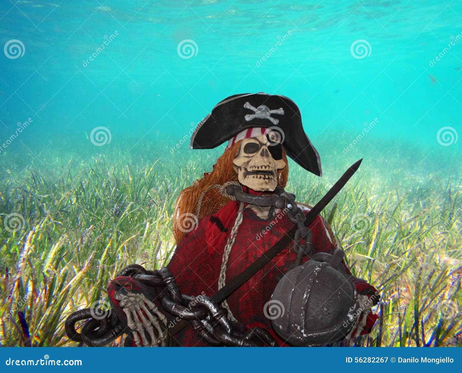 Pirate skeleton stock image. Image of cayman, wreck, honduras - 56282267