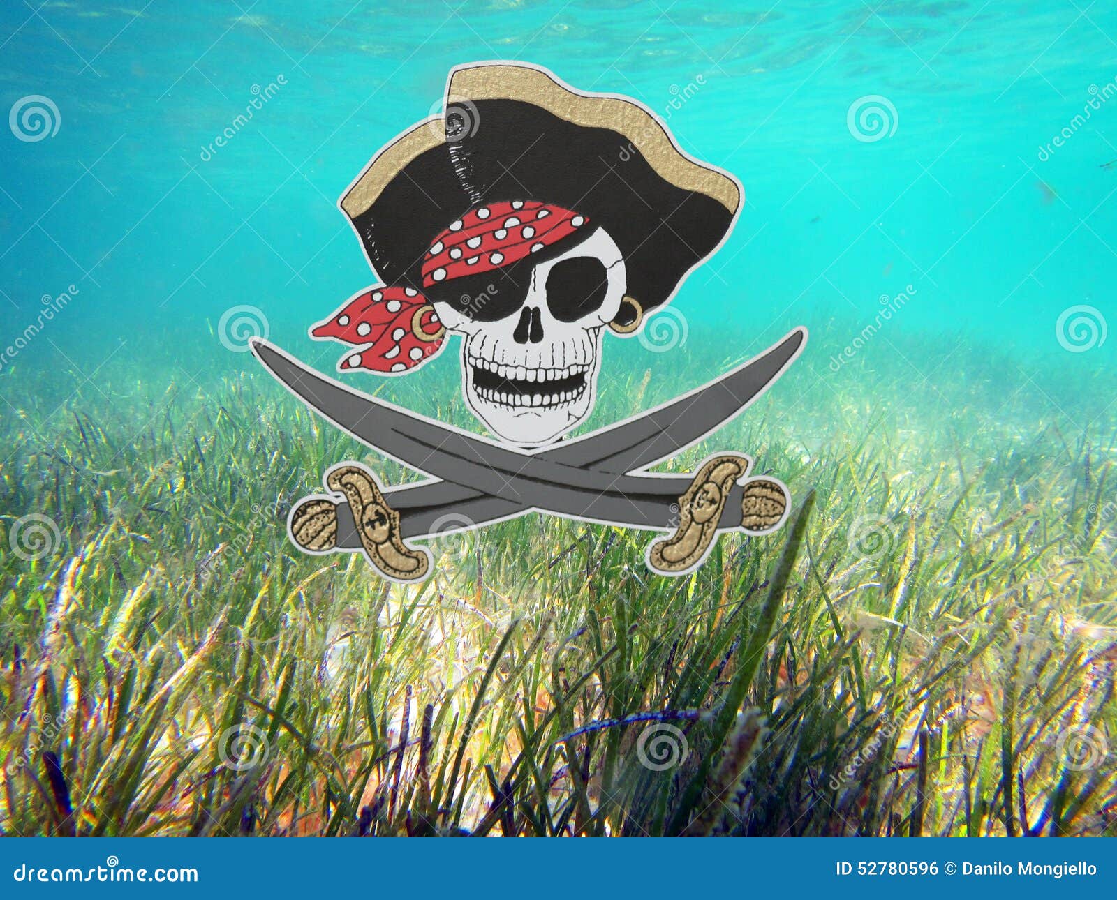 Pirate skull stock photo. Image of cayman, skull, honduras - 52780596