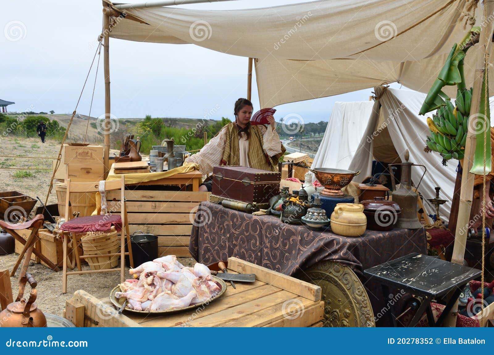 Pirate Wench in Her Kitchen Editorial Photography - Image of chicken ...