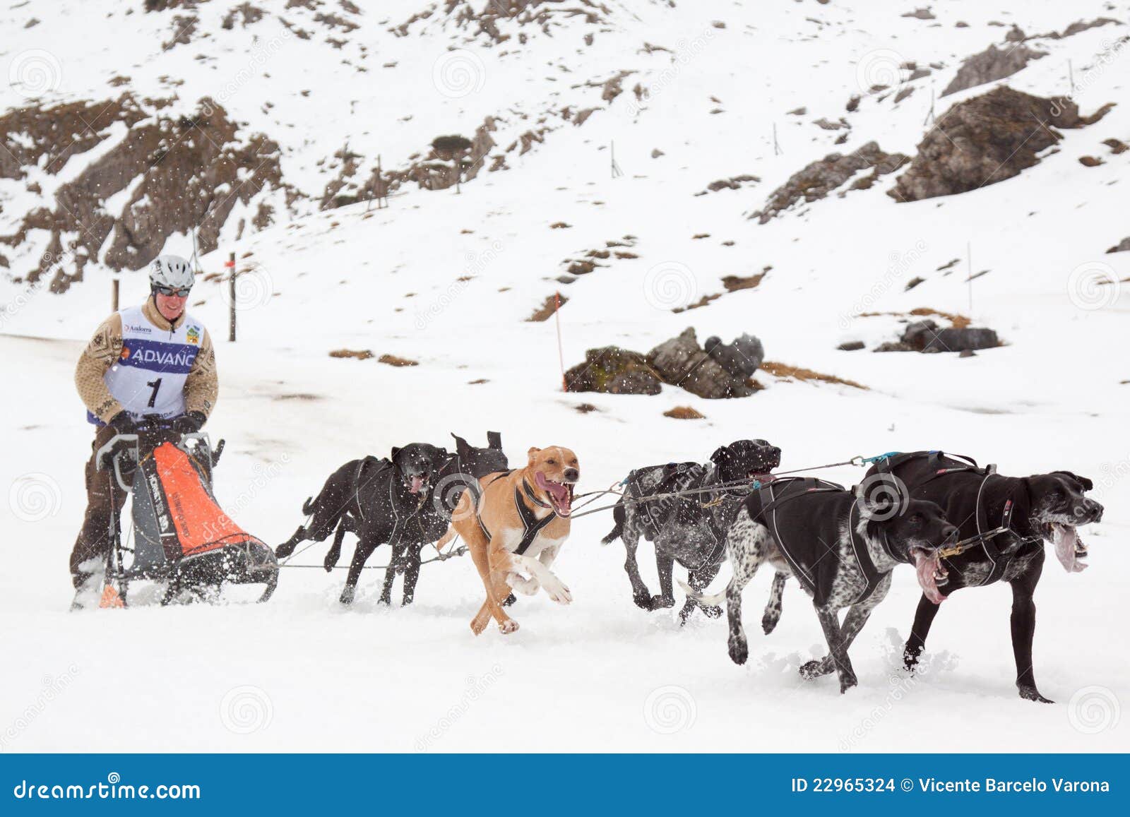 Pirena Advance 2012 Sleigh Race Editorial Stock Image - Image of cold ...
