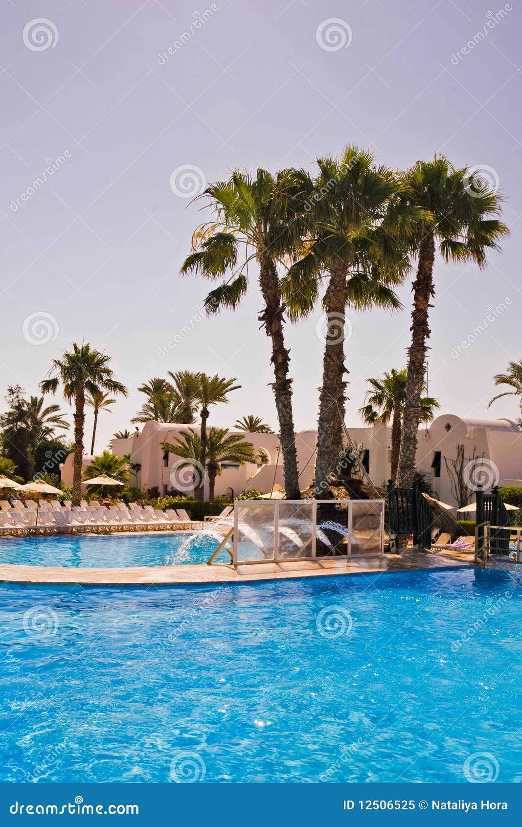 Piscina con las palmeras imagen de archivo. Imagen de poollado - 12506525