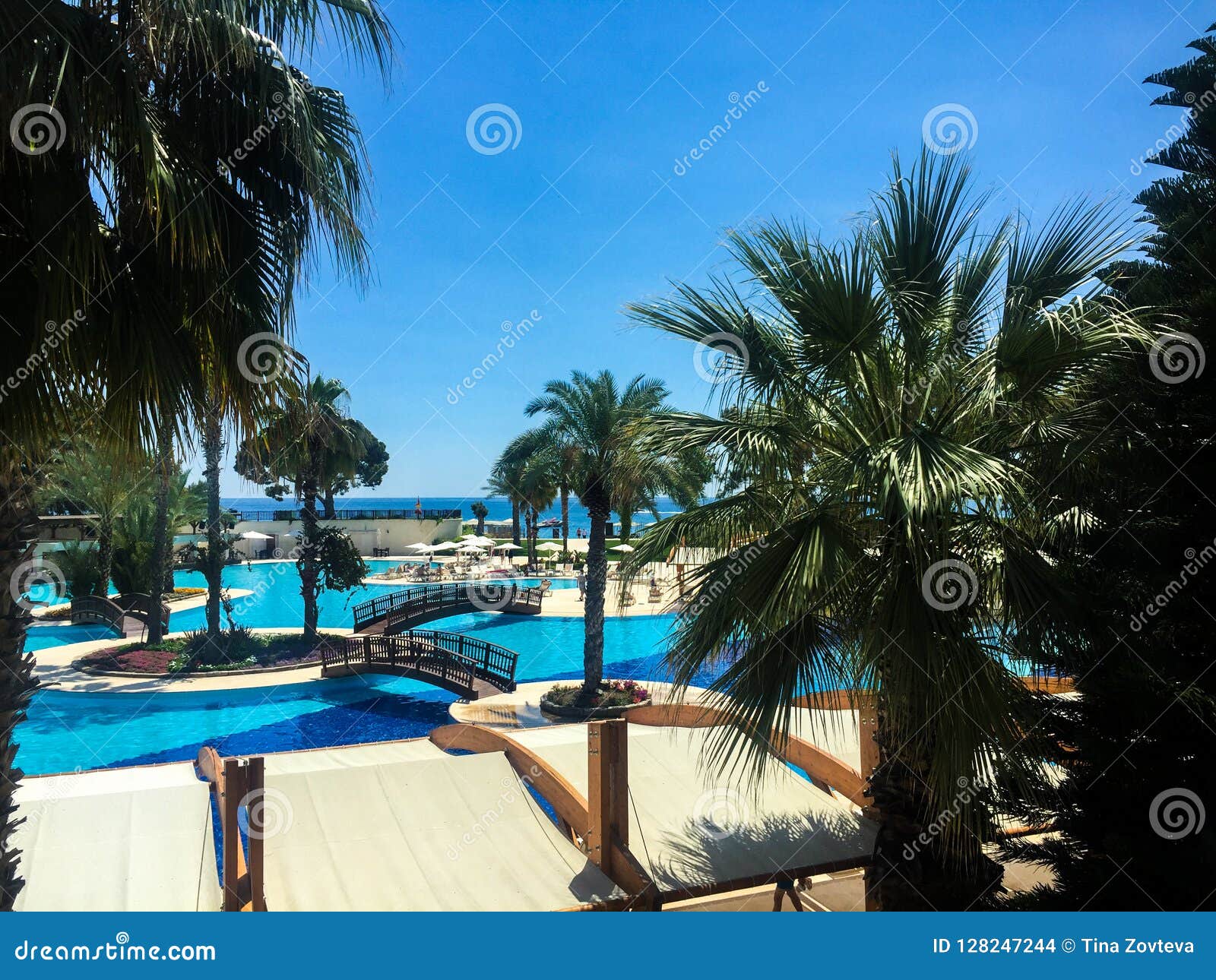 Piscina con las palmeras foto de archivo. Imagen de turismo - 128247244