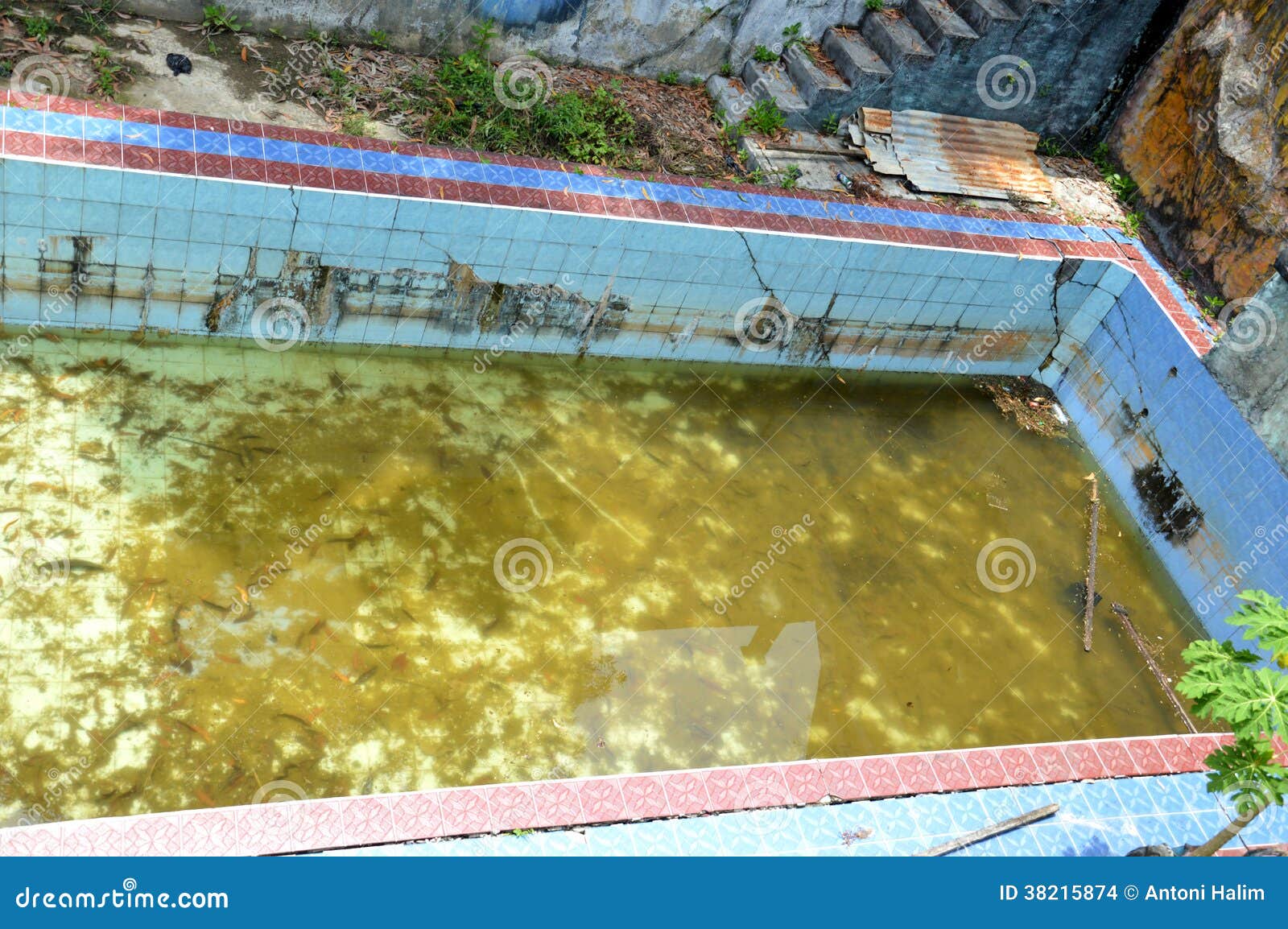 Piscina inusitada foto de archivo. Imagen de abusado - 38215874