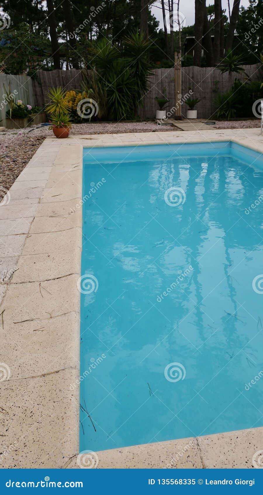 Piscina pool stock image. Image of pool, piscina, agua - 135568335
