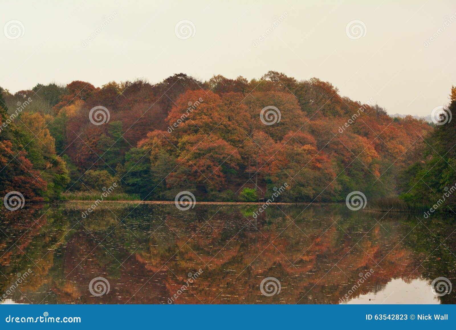 Piscinas de Kyre imagen de archivo. Imagen de fango, pesca - 63542823