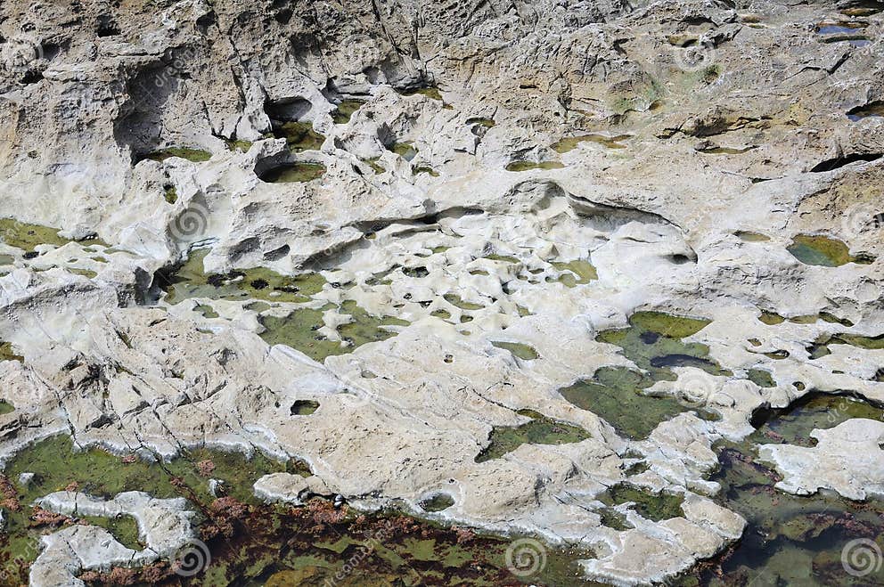 Piscinas de la marea imagen de archivo. Imagen de habitat - 14815353