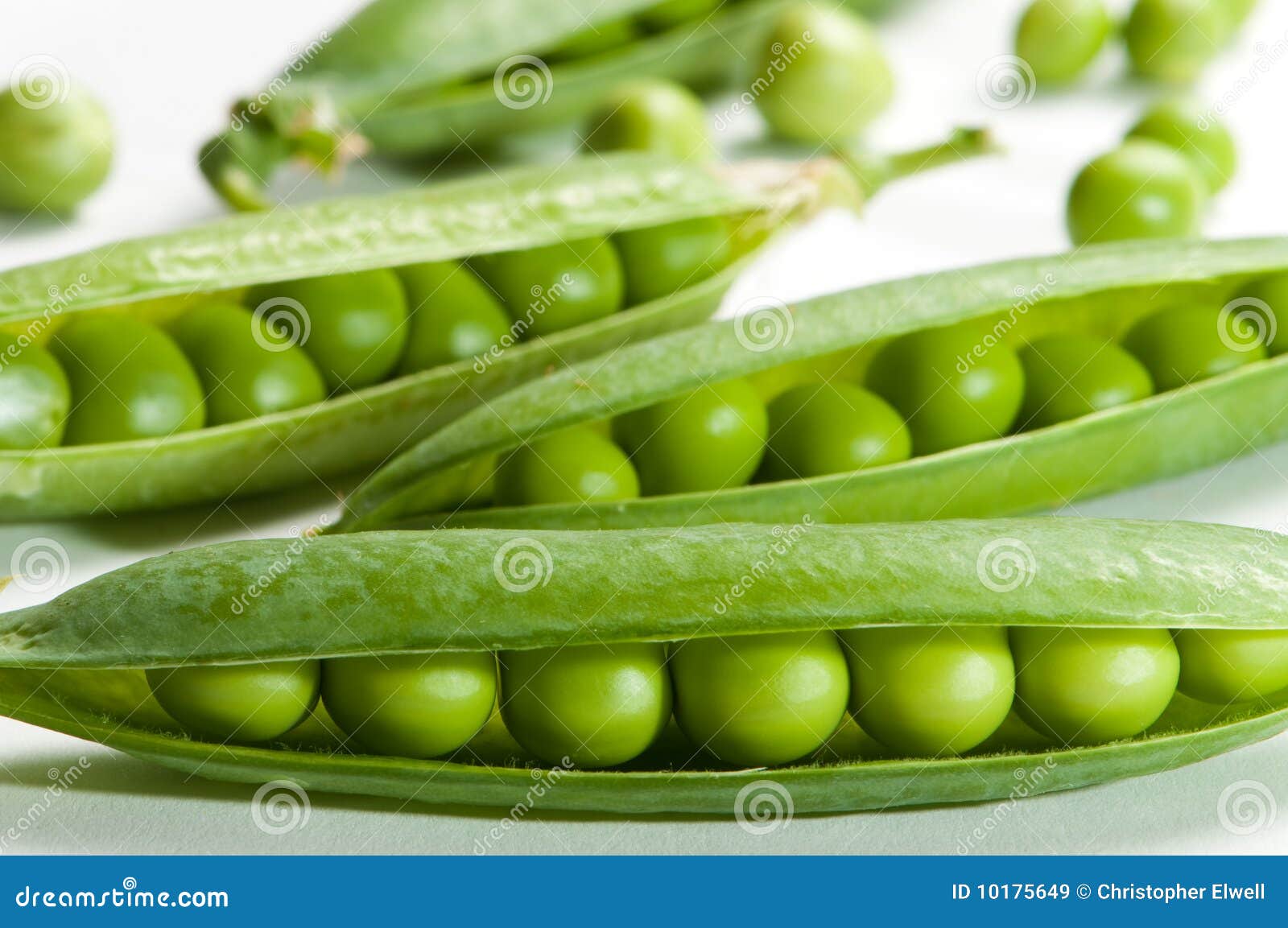 Piselli in baccelli immagine stock. Immagine di naughty - 10175649