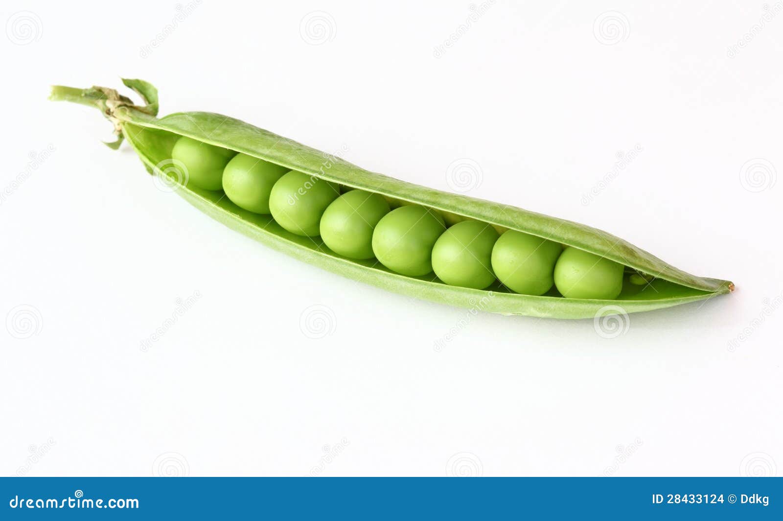 Piselli in un baccello fotografia stock. Immagine di schiocco - 28433124