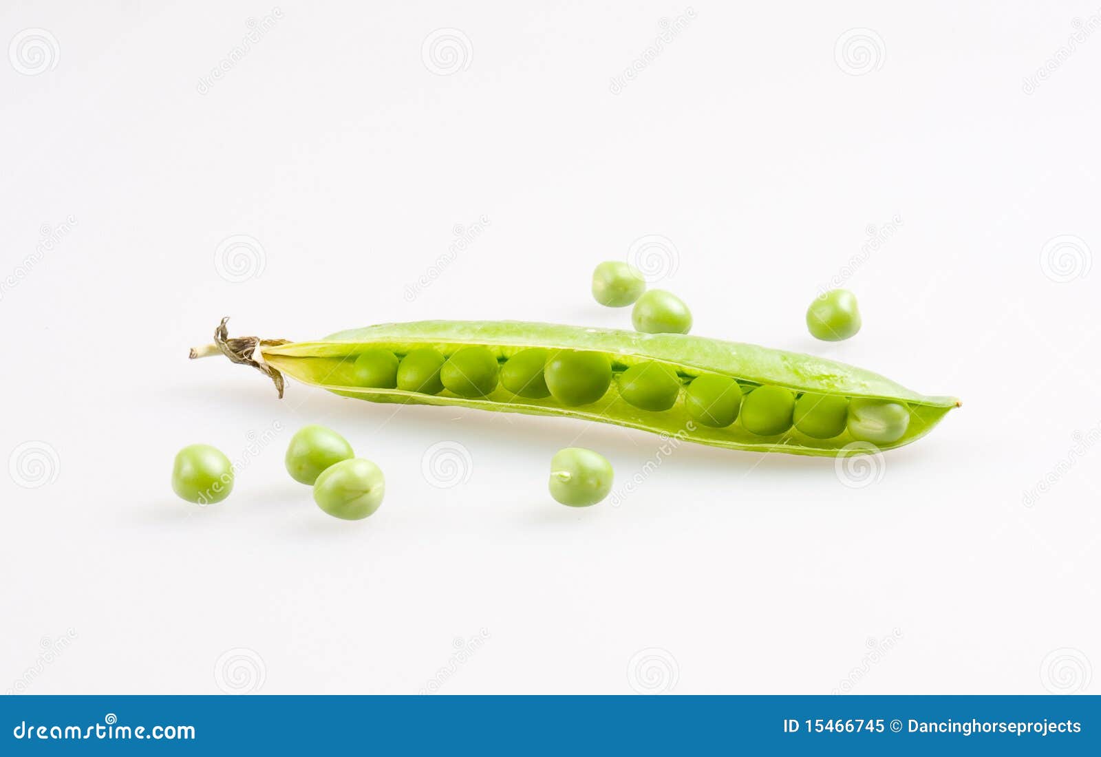 Pisello immagine stock. Immagine di antecedenti, stare - 15466745