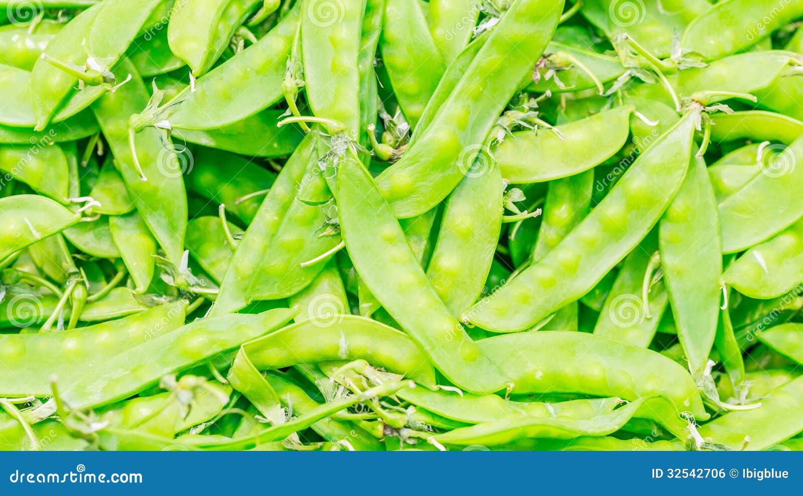 Pisello del primo piano fotografia stock. Immagine di sfondo - 32542706