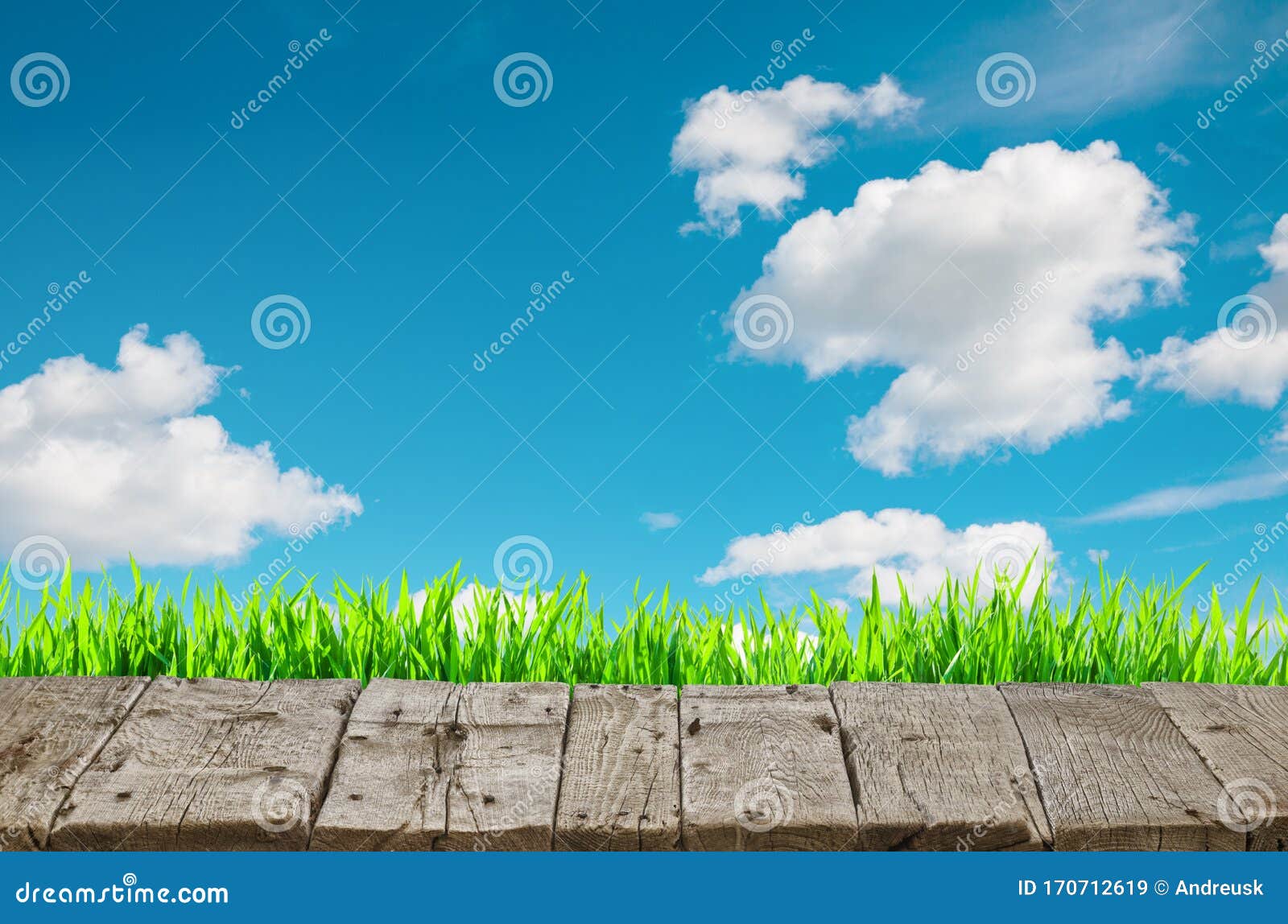 Piso De Madeira E Fundo De Relva Antigos Imagem de Stock - Imagem de ...