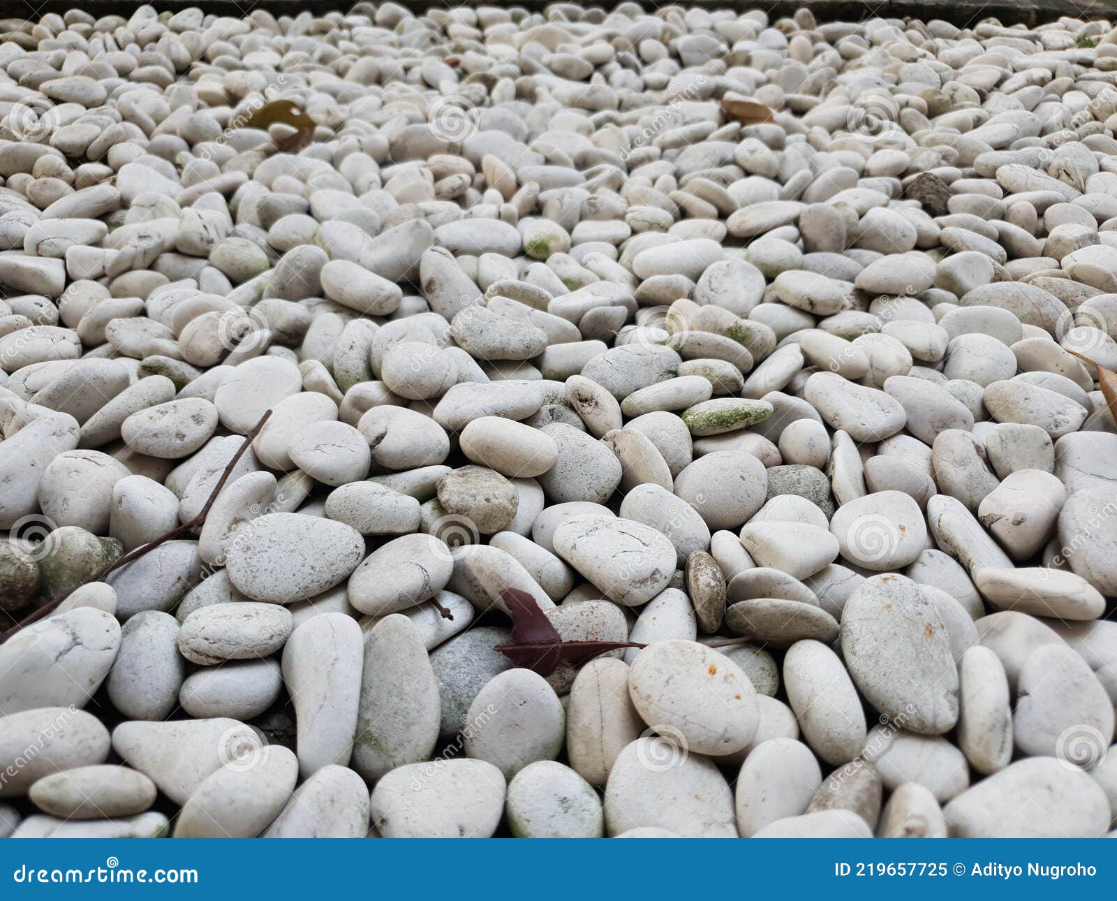 Piso De Rocas Blancas Al Amanecer Imagen de archivo - Imagen de ...