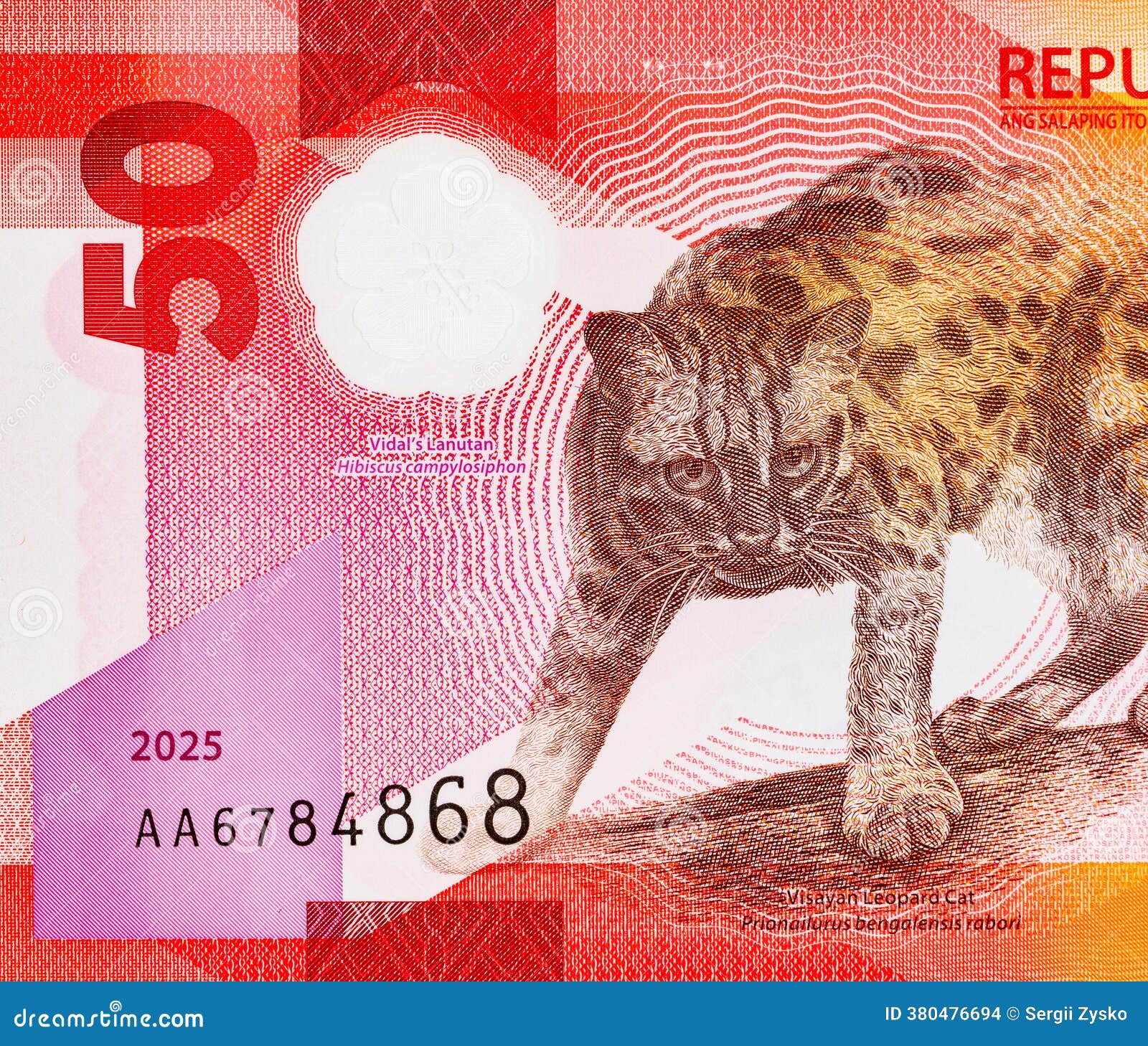 50 Piso Philippines, New Polymer Note 2025 With Visayan Leopard ...