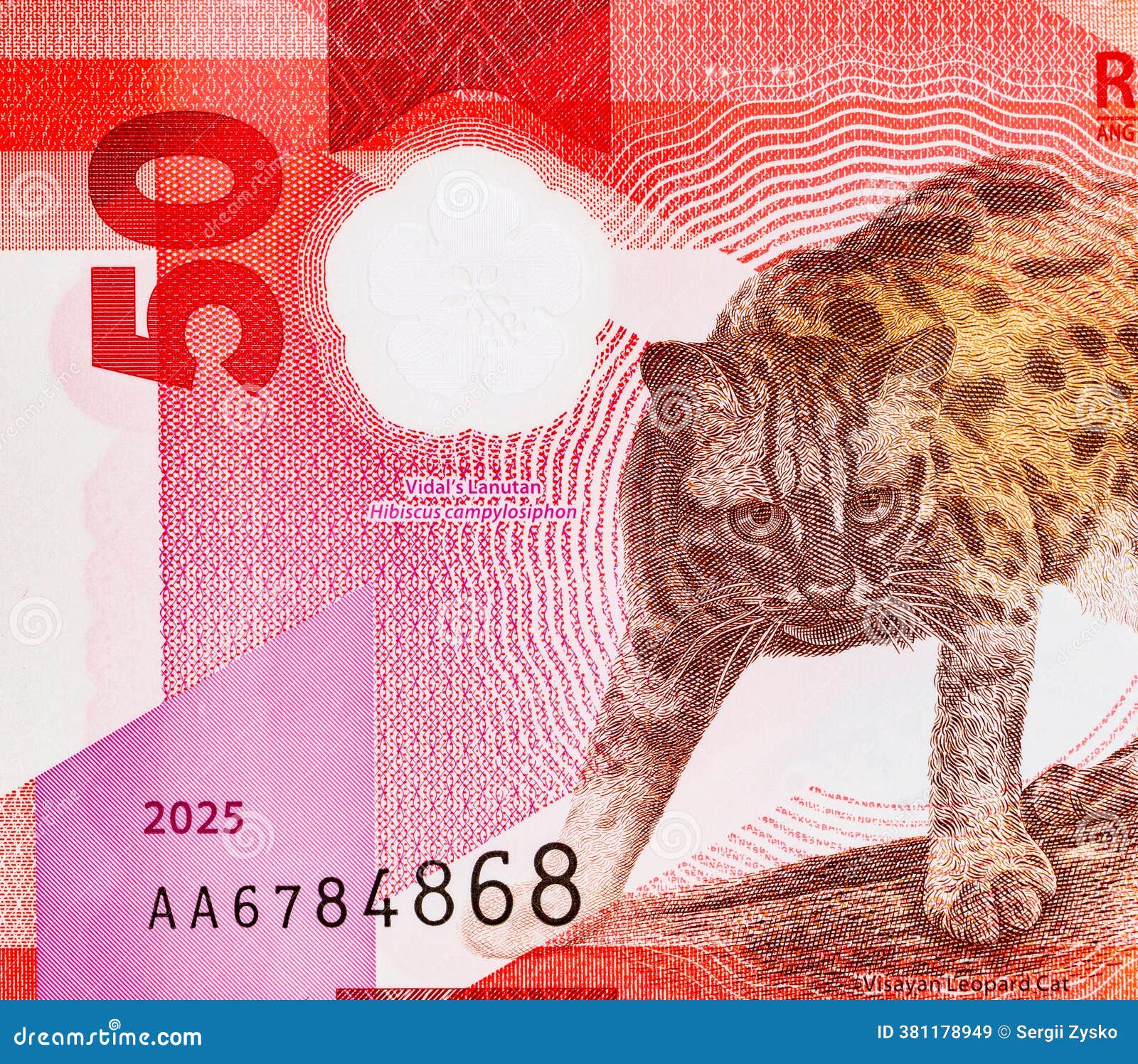 50 Piso Philippines, New Polymer Note 2025 With Visayan Leopard ...