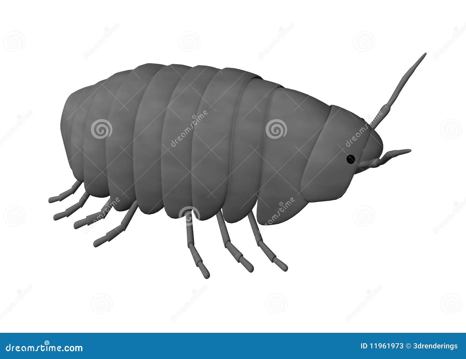 Pissebed stock illustratie. Illustration of tuin, computer - 11961973